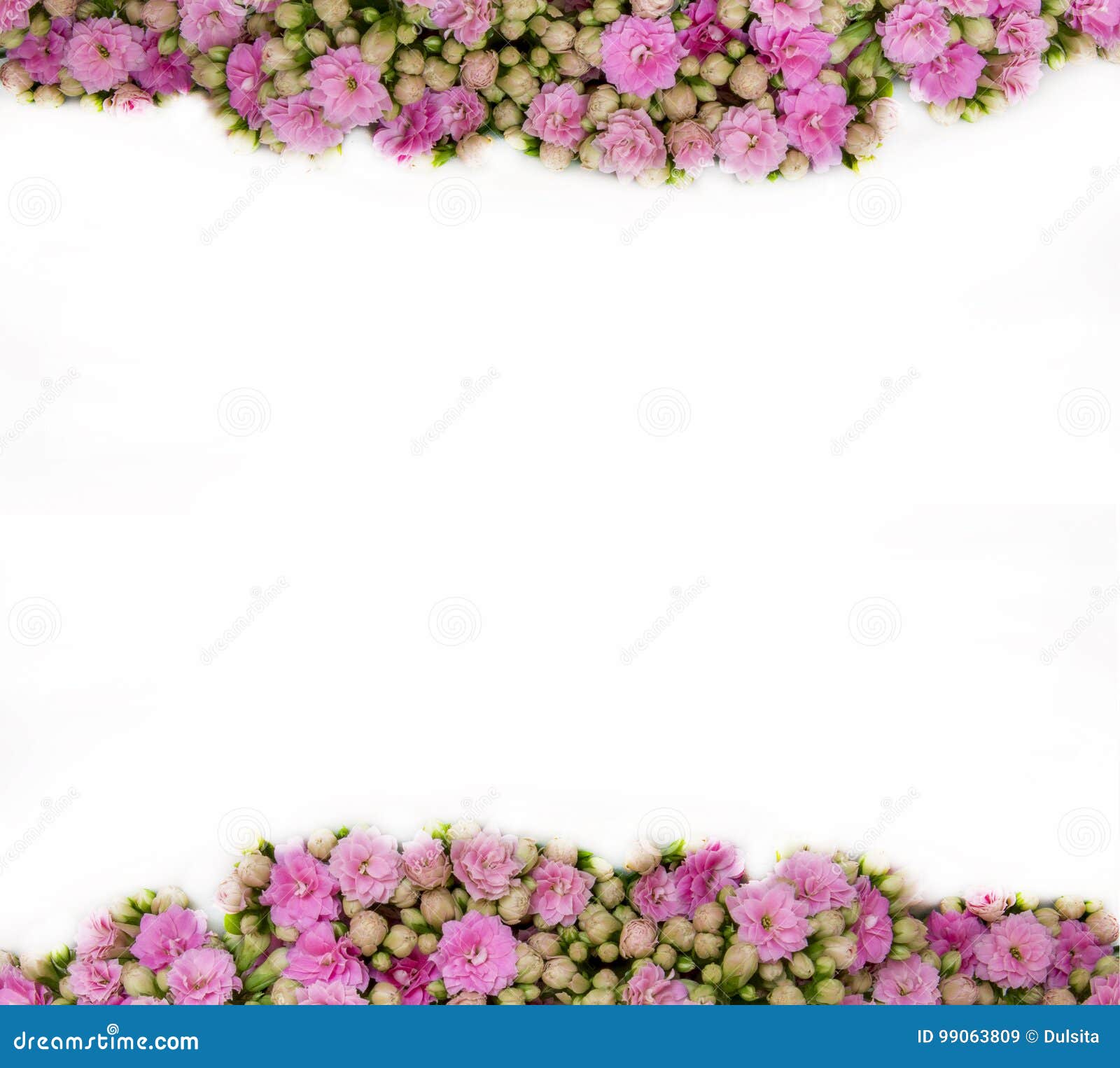 Frame with pink flowers stock image. Image of decoration - 99063809