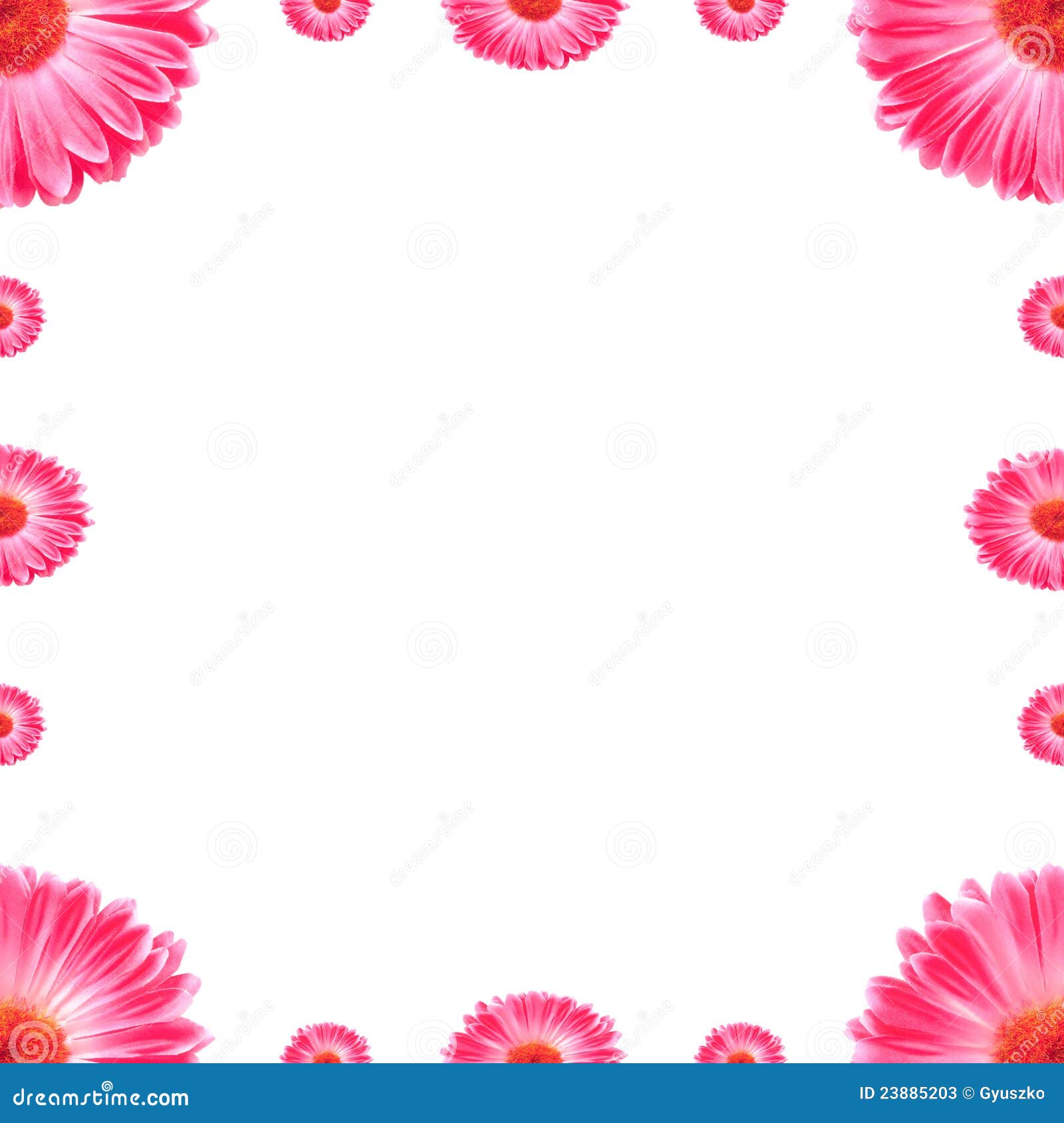 Frame Pink Gerbera Flowers stock image. Image of design - 23885203