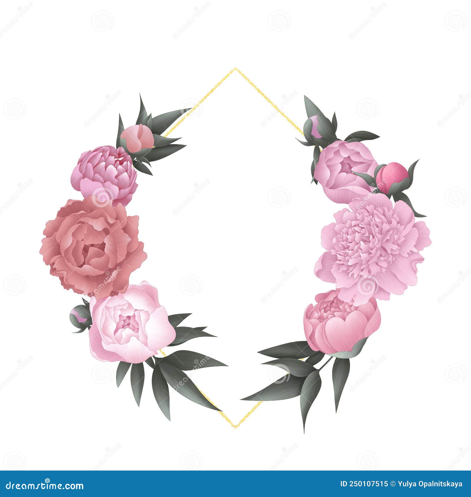 Frame of Pink Peonies with Leaves Isolated on White Background Stock ...