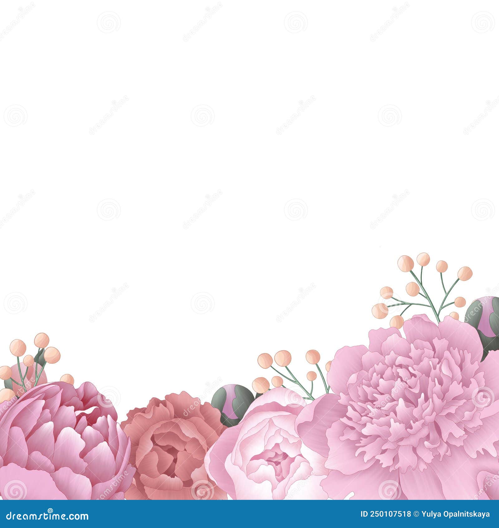 Frame of Pink Peonies with Leaves Isolated on White Background Stock ...