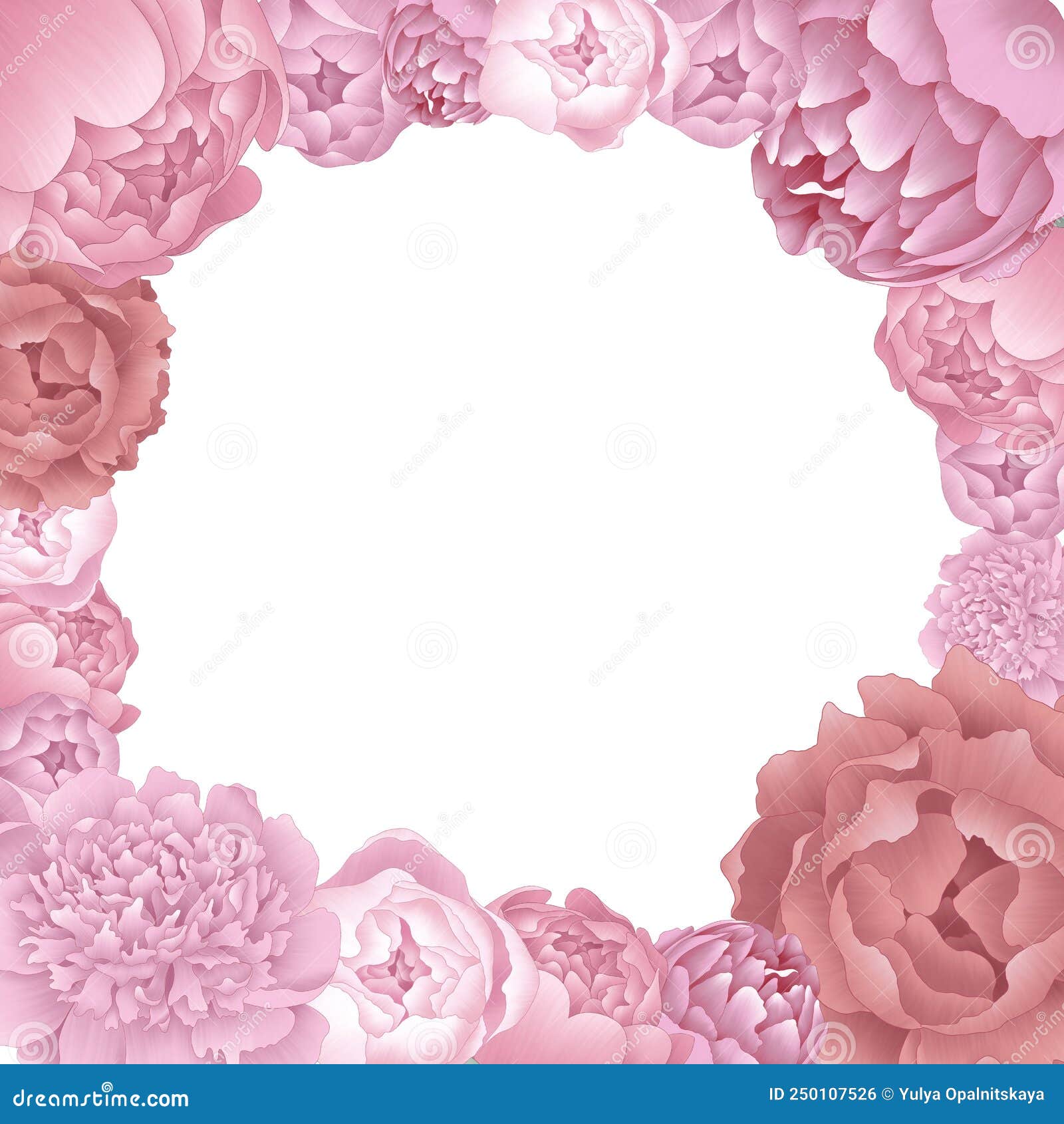 Frame of Pink Peonies with Leaves Isolated on White Background Stock ...