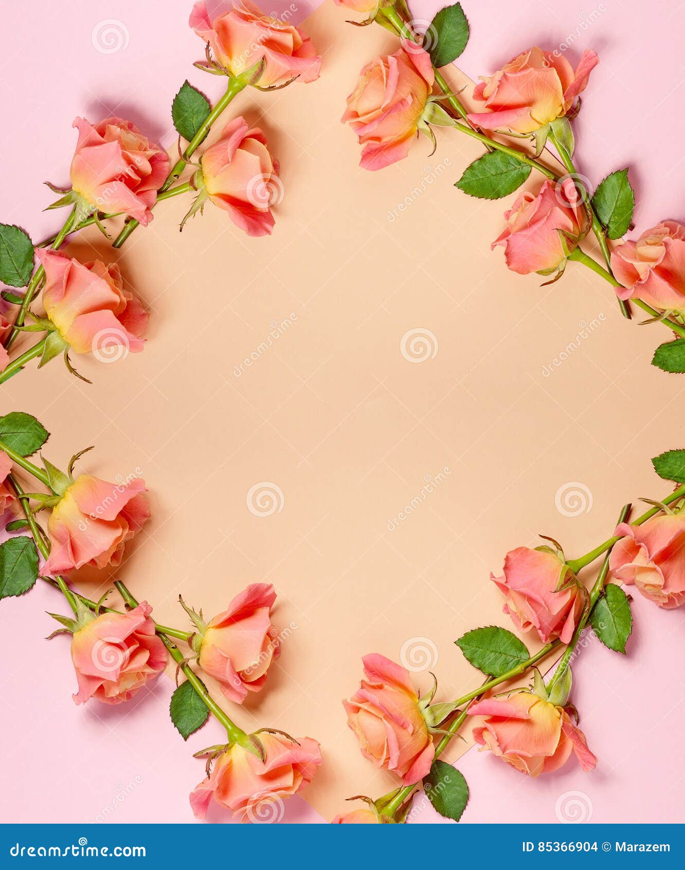 Frame of pink roses stock photo. Image of background - 85366904