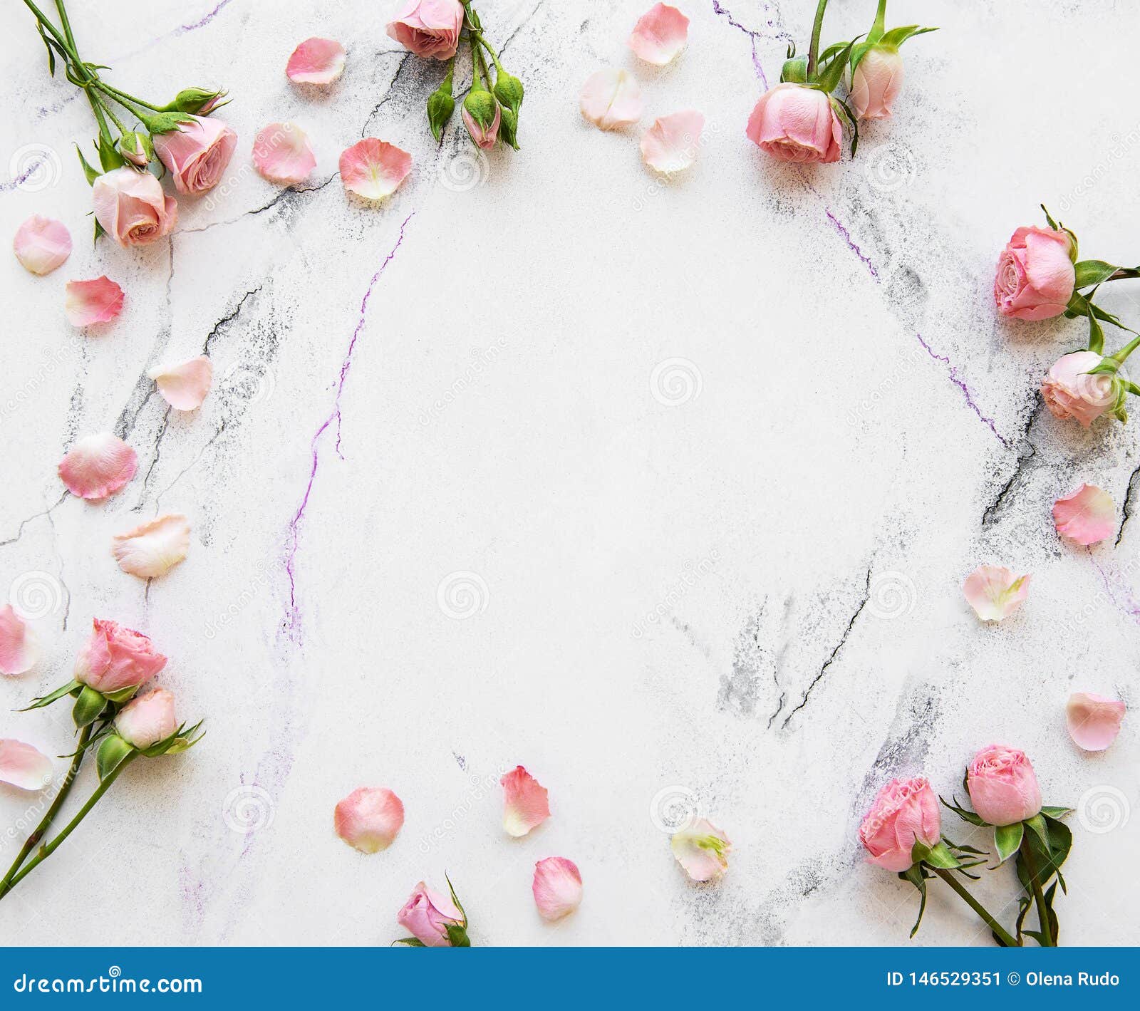 Frame with pink roses stock image. Image of flat, blossom - 146529351