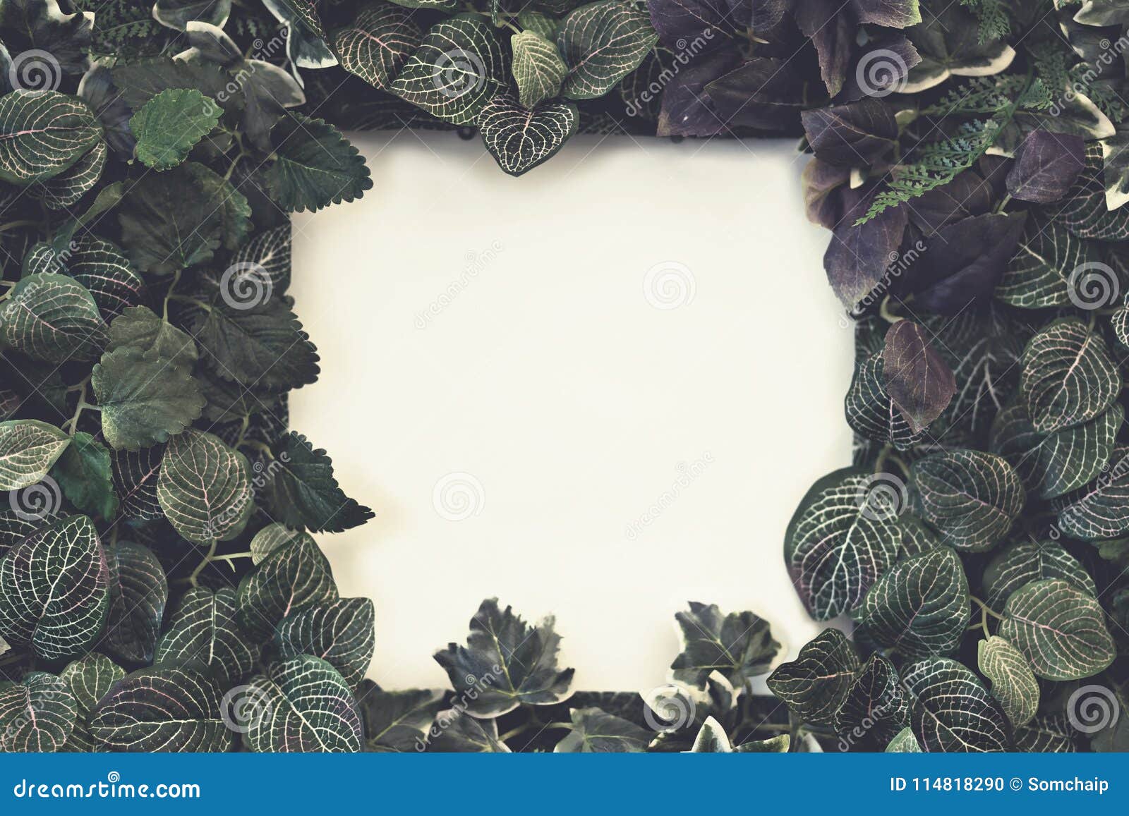Frame on Plastic Flowers in Background . Stock Photo - Image of ...