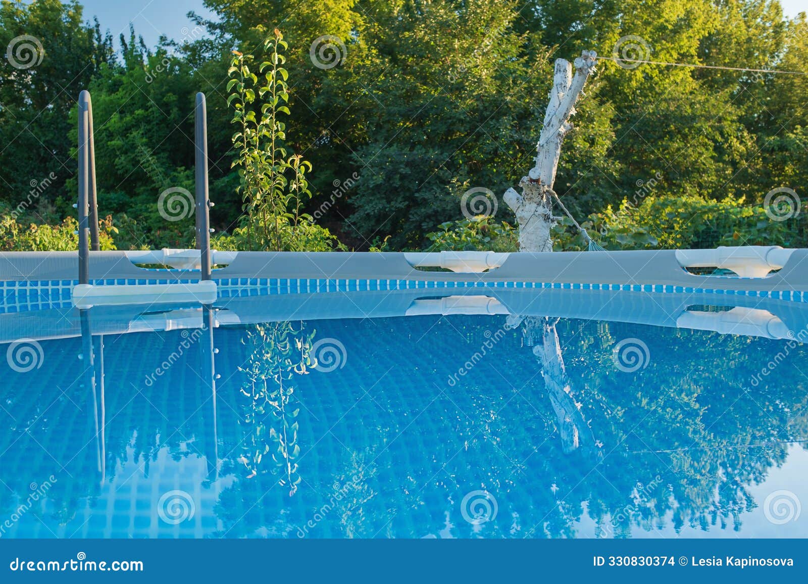 Frame Pool with Clean Water in the Garden. Resting by the Pool in ...
