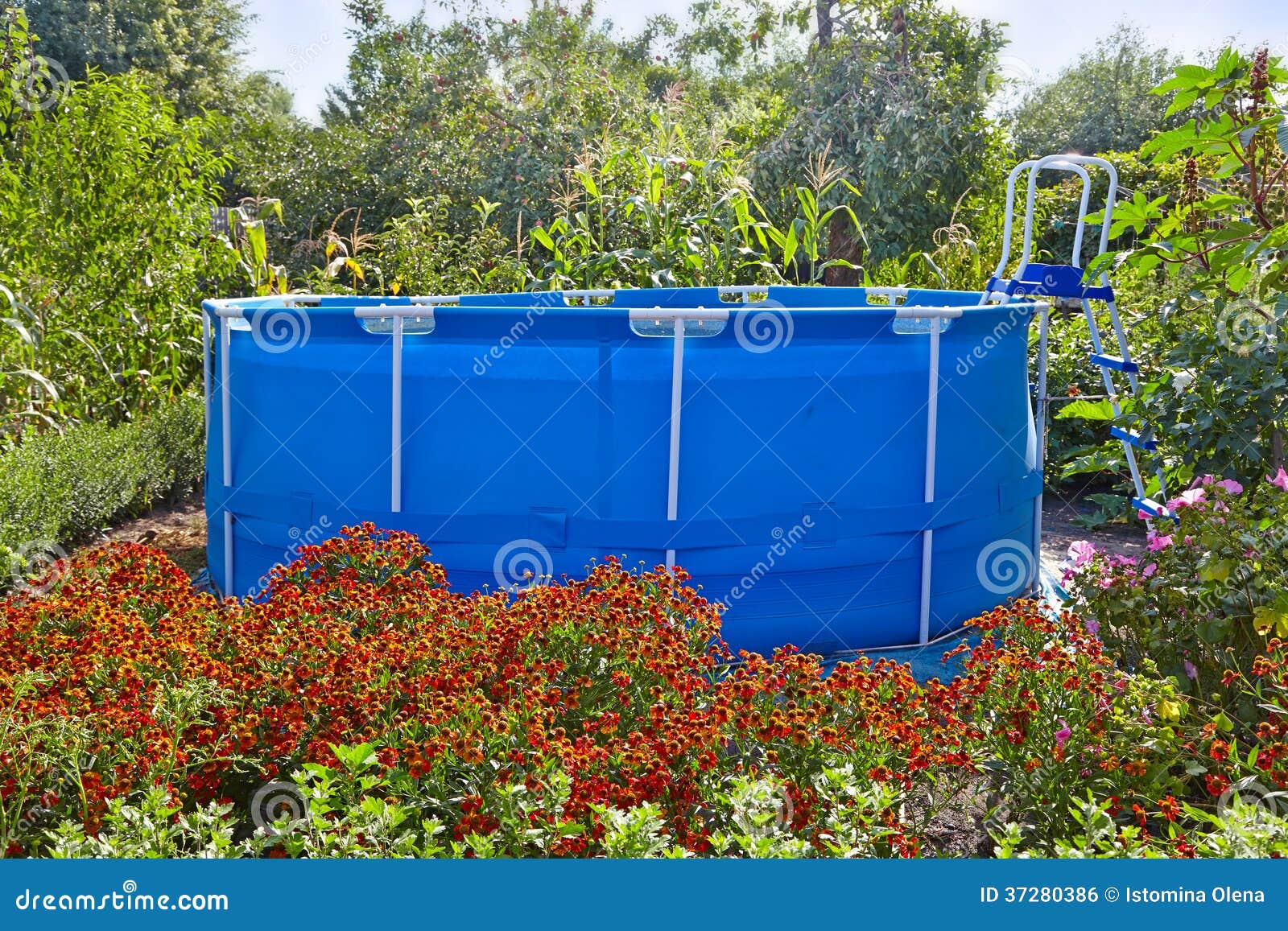 Frame Pool With Ladder, Outdoor. Frame Swimming Pool Stock Photography ...