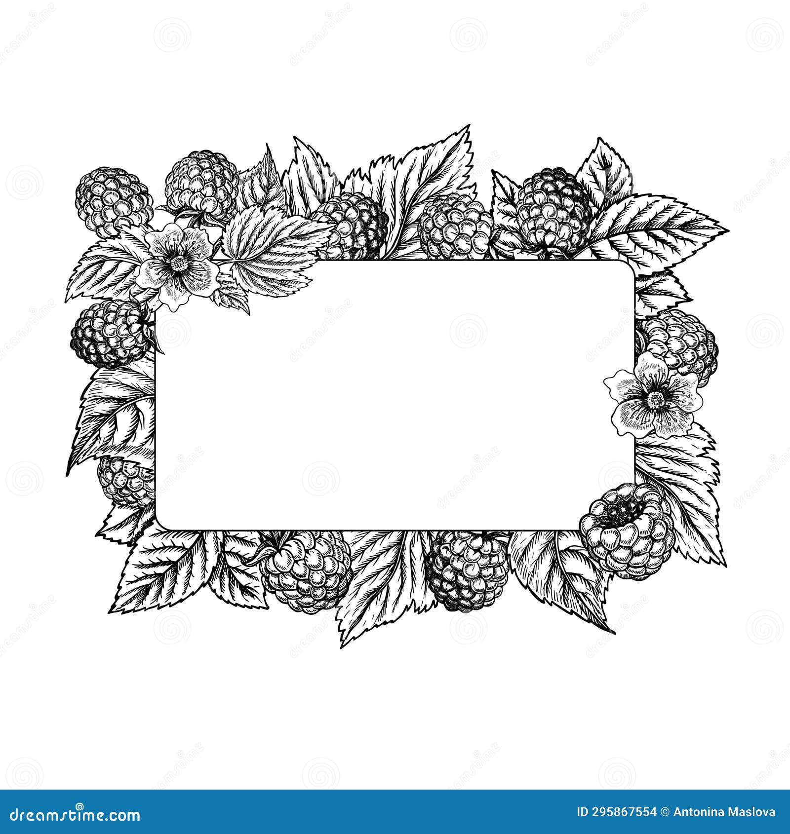 Frame with Raspberries, Hand Drawn Black and White Graphic Vector ...