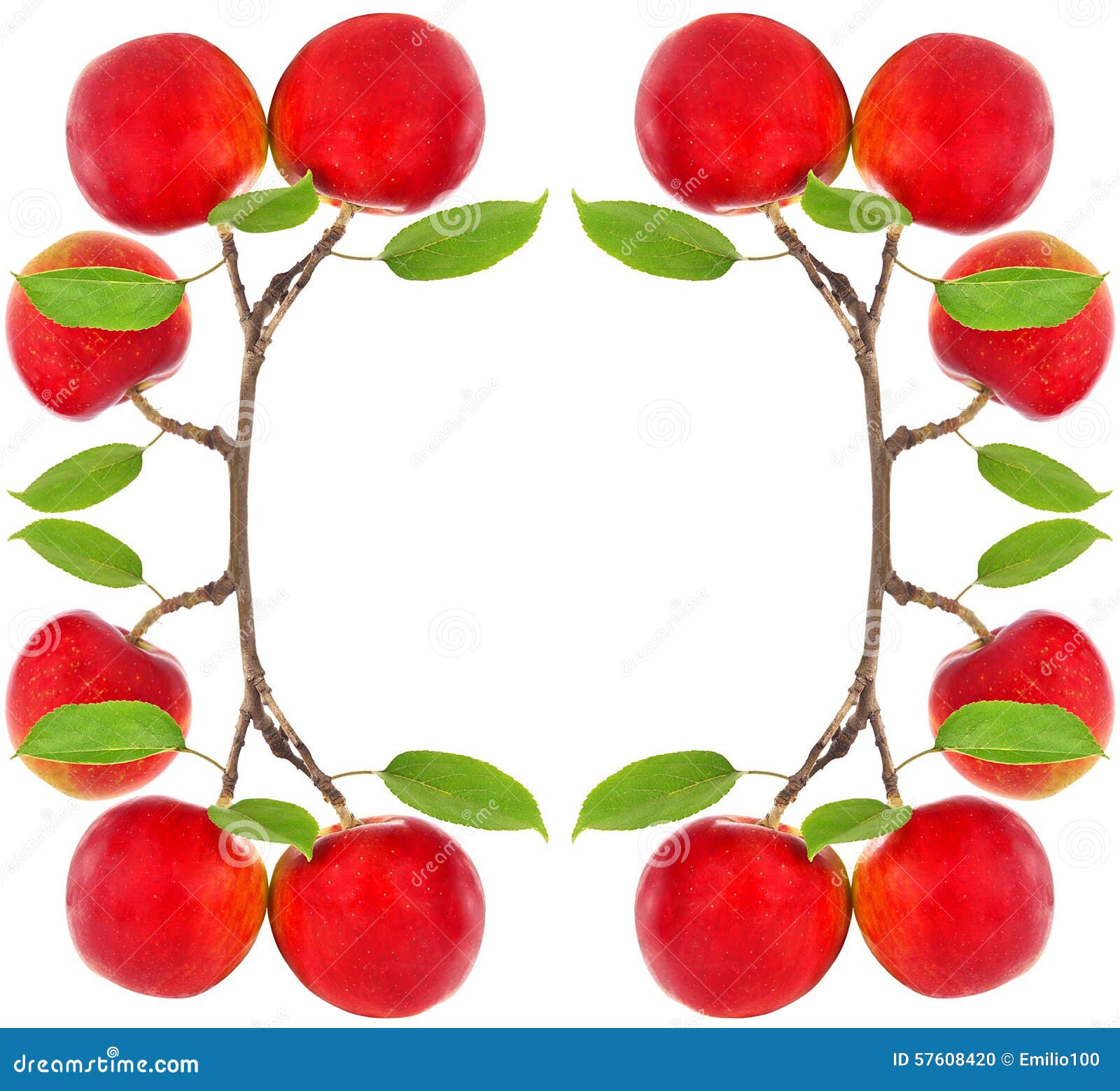 Frame of red apples stock photo. Image of branch, juice - 57608420