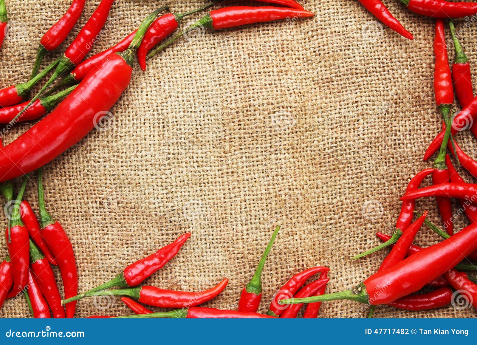 Frame of Red Chilli Peppers - Series 2 Stock Photo - Image of texture ...
