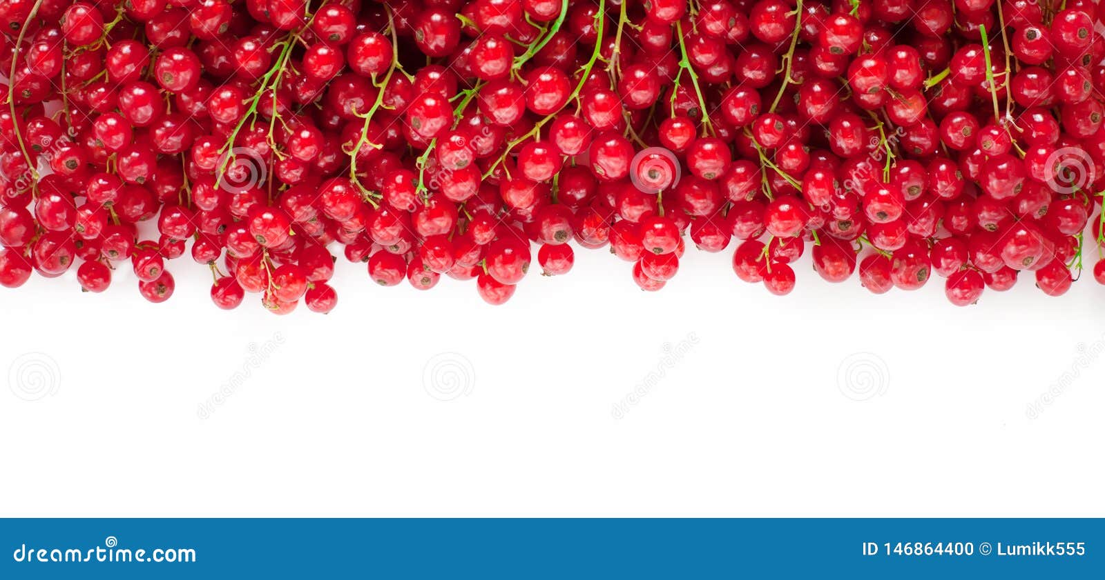 Frame of Red Currant Berries on White Background Stock Photo - Image of ...