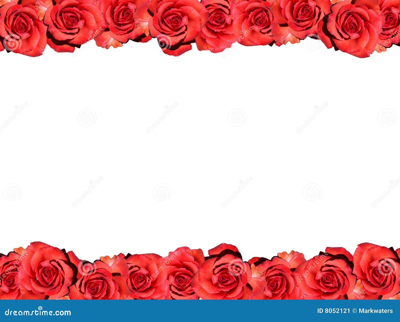 Frame of red roses stock image. Image of blumen, rosen - 8052121