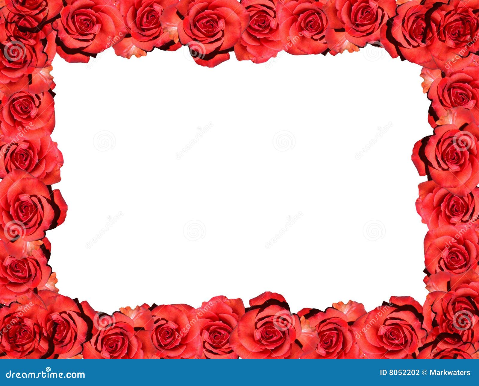 Frame of red roses stock photo. Image of license, symbolbild - 8052202