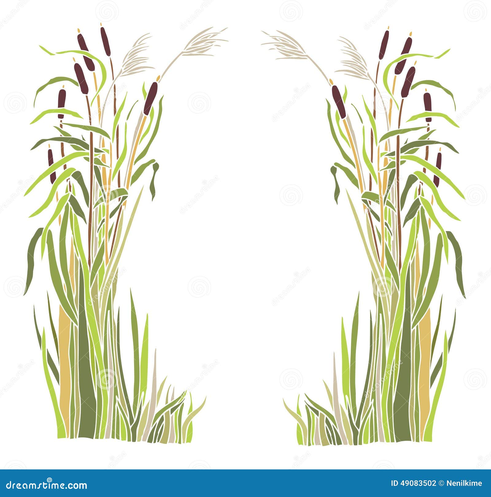 Frame of the reeds stock vector. Illustration of green - 49083502