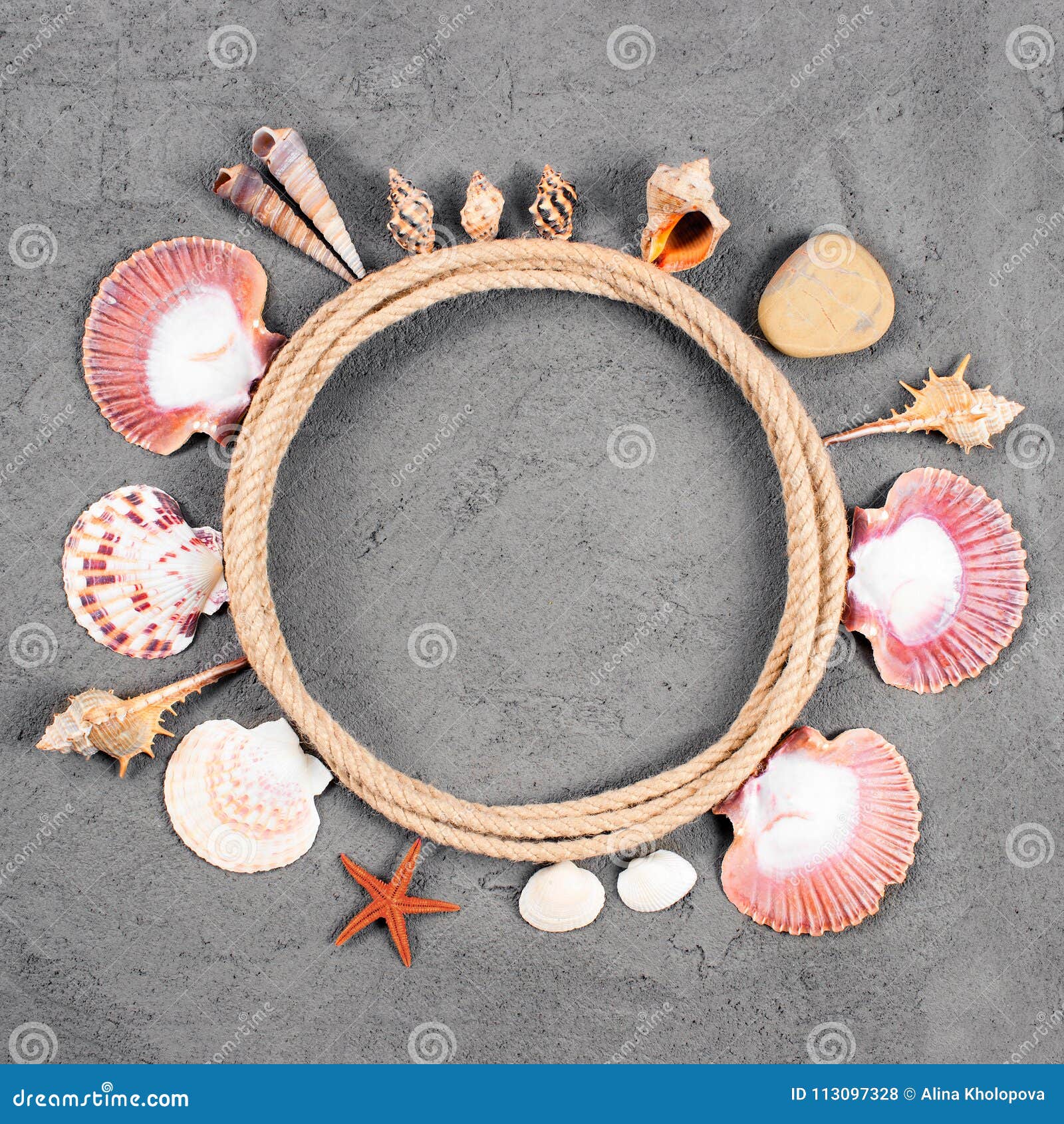 Frame of Rope and Sea Shells Stock Photo - Image of stone, gray: 113097328
