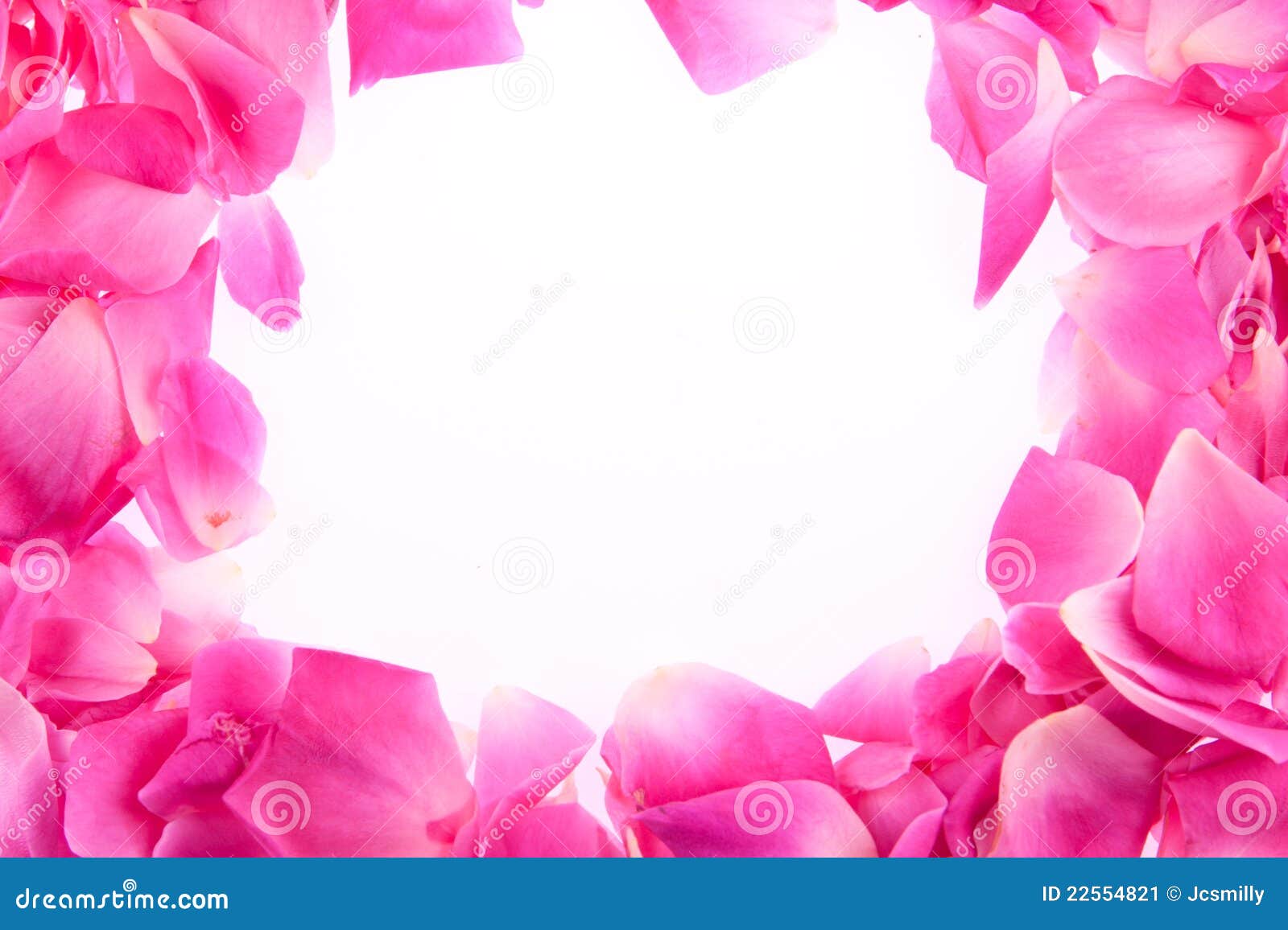 Frame of rose petals stock image. Image of holiday, floral - 22554821