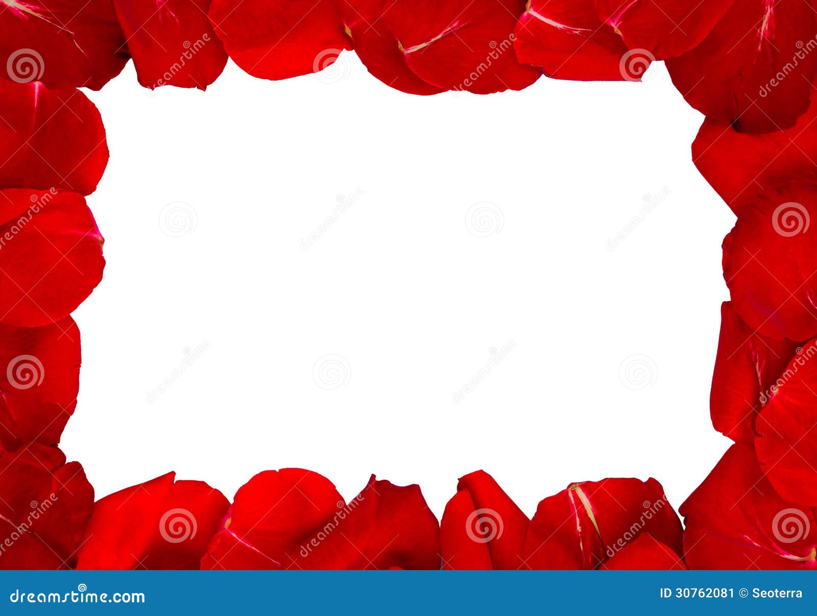 Frame of Rose Petals stock image. Image of marriage, elegance - 30762081