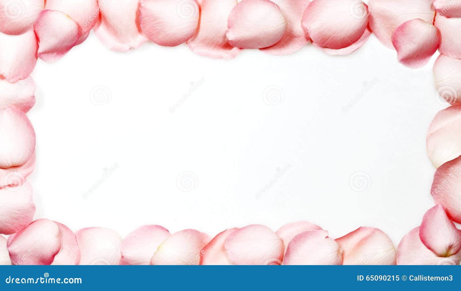 Frame of rose petals stock image. Image of romantic, wallpaper - 65090215