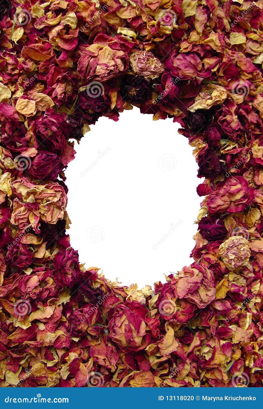 Frame of roses stock photo. Image of crimson, flavor - 13118020