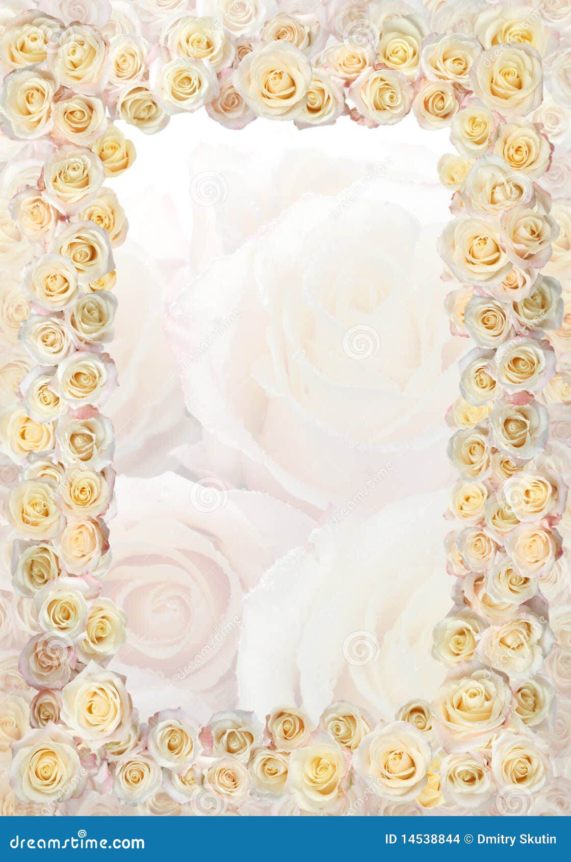 Frame of roses stock photo. Image of season, romance - 14538844