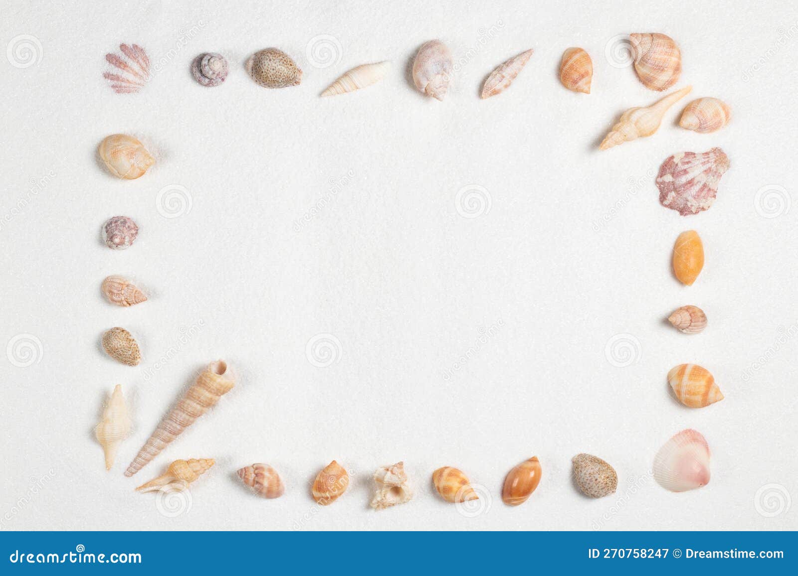 Frame of Sea Shells on Sandy Beach. Stock Image - Image of summertime ...
