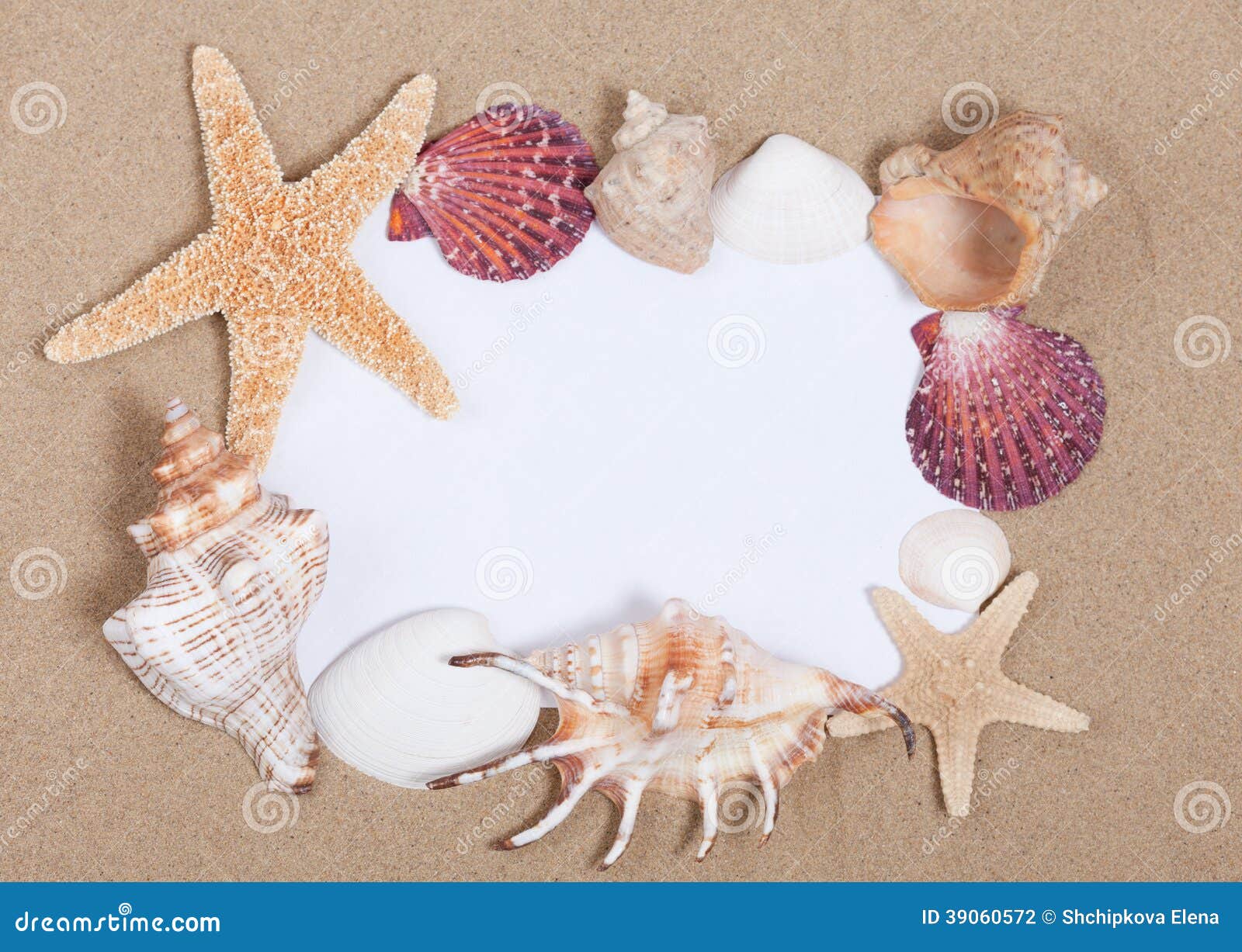 Frame from sea shells stock photo. Image of vignette - 39060572