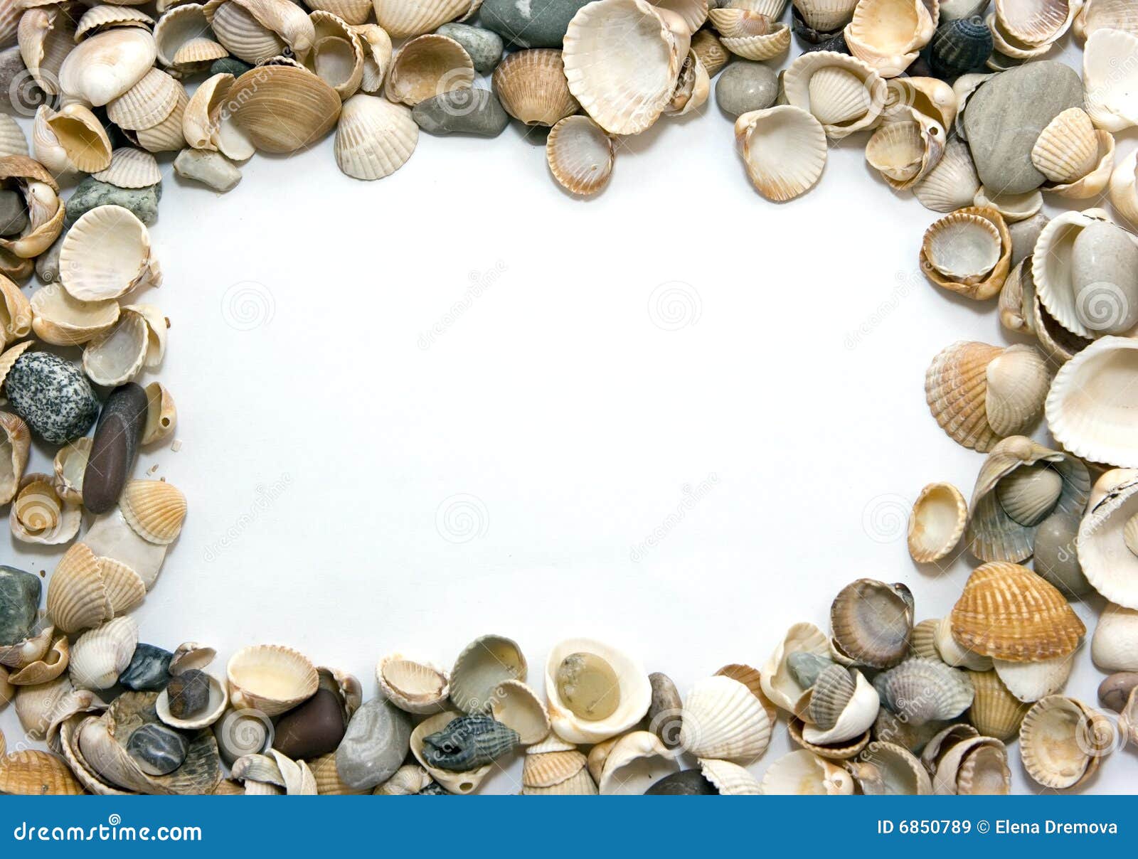 Frame of shells stock image. Image of tourism, vacations - 6850789