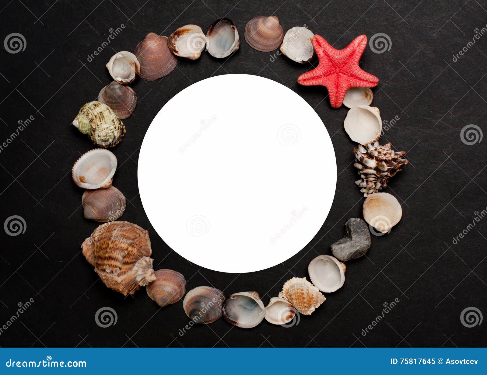 The Frame of Shells on Sea Theme with White Circle in the Middle Stock ...