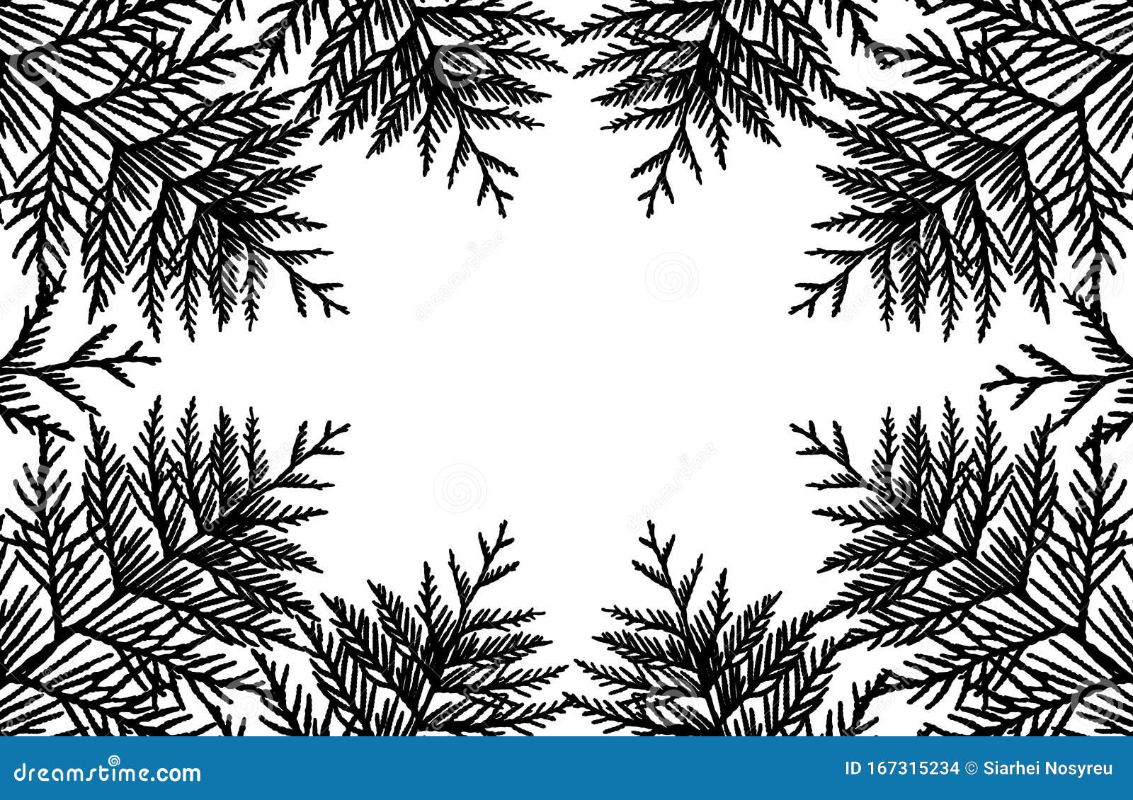 Thuja Tree Illustration, Drawing, Engraving, Ink, Line Art, Vector ...