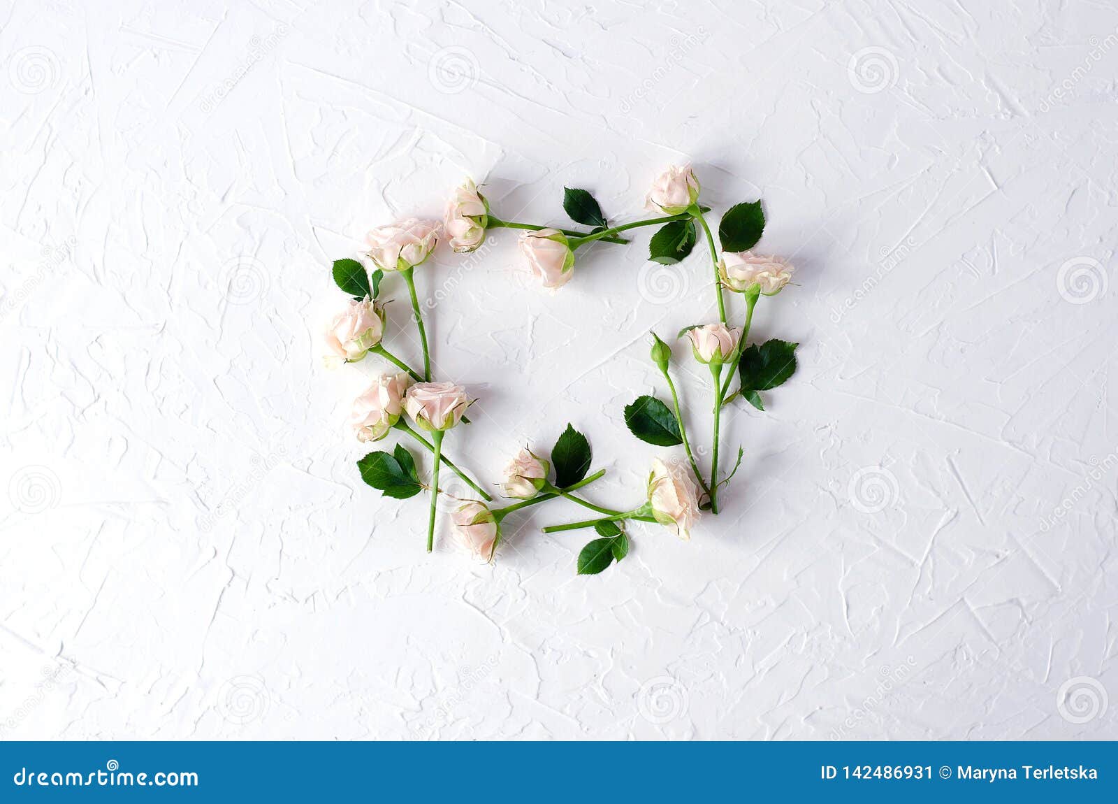 Frame of Small Roses and Leaves on a White Background Stock Image ...