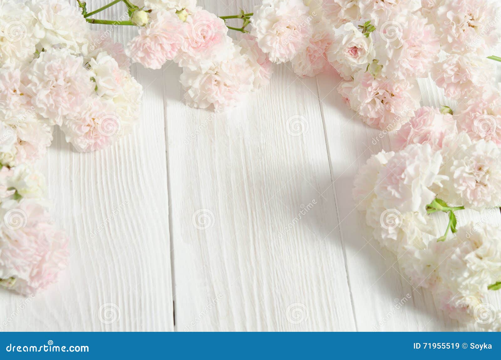 Frame from small Roses stock image. Image of anniversary - 71955519