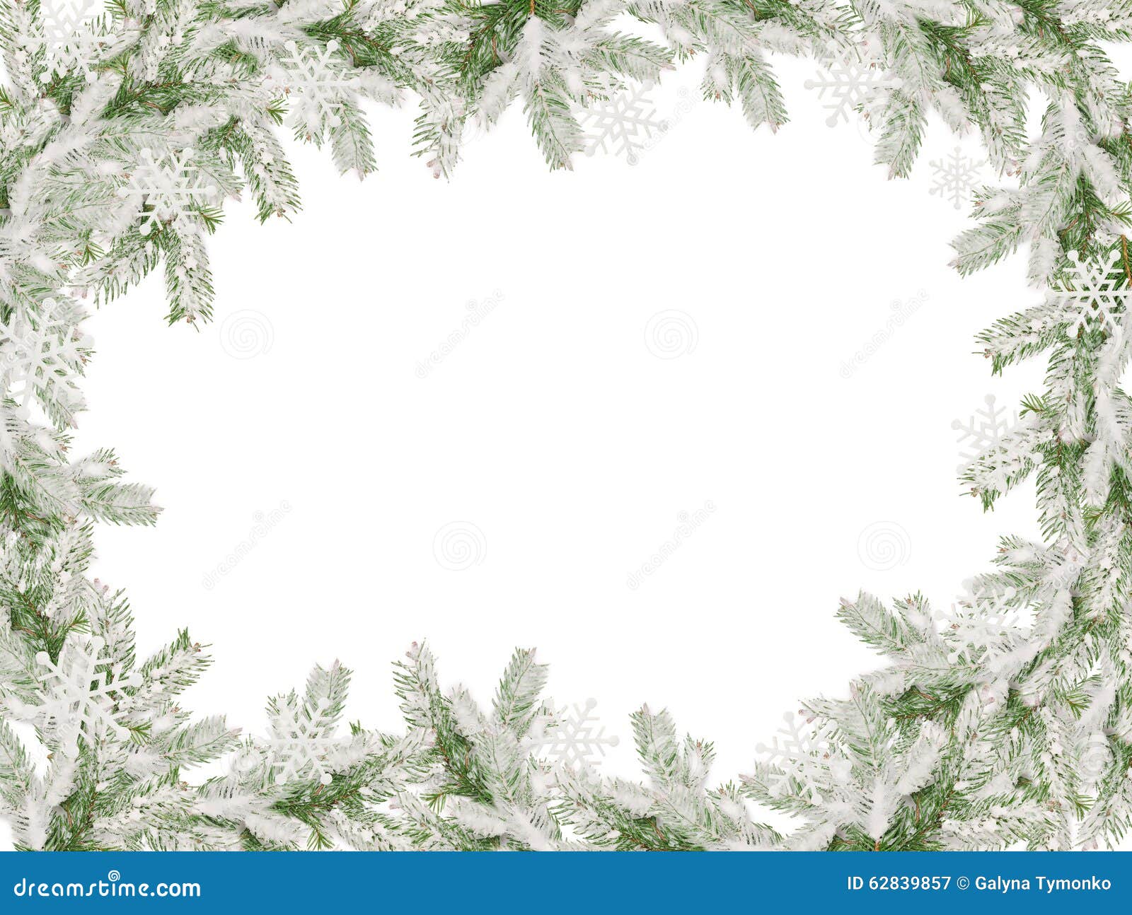Frame of the Snow-covered Christmas Tree for Christmas Card Stock Image ...