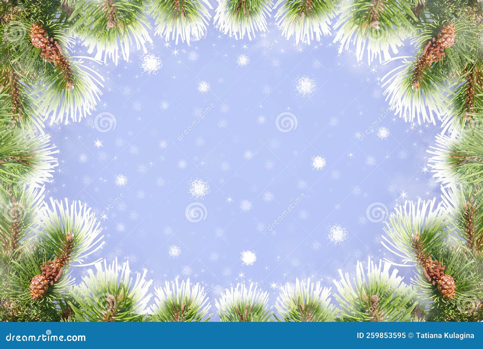 Frame of Snow-covered Spruce Branches on a Blue Background. Winter ...