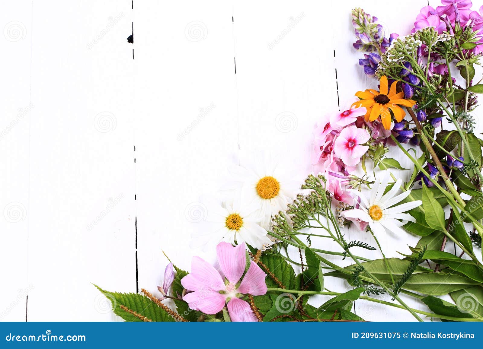 Frame of Spring Flowers Corner Stock Image - Image of june, garden ...