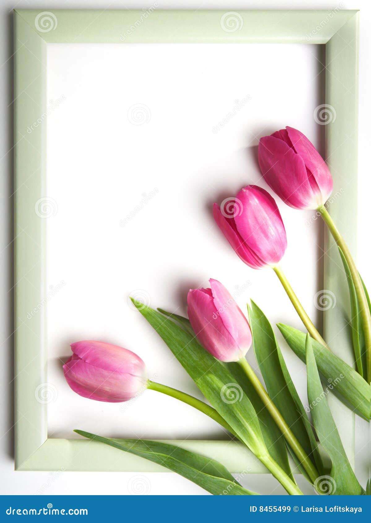 Frame with spring tulips stock image. Image of nature - 8455499