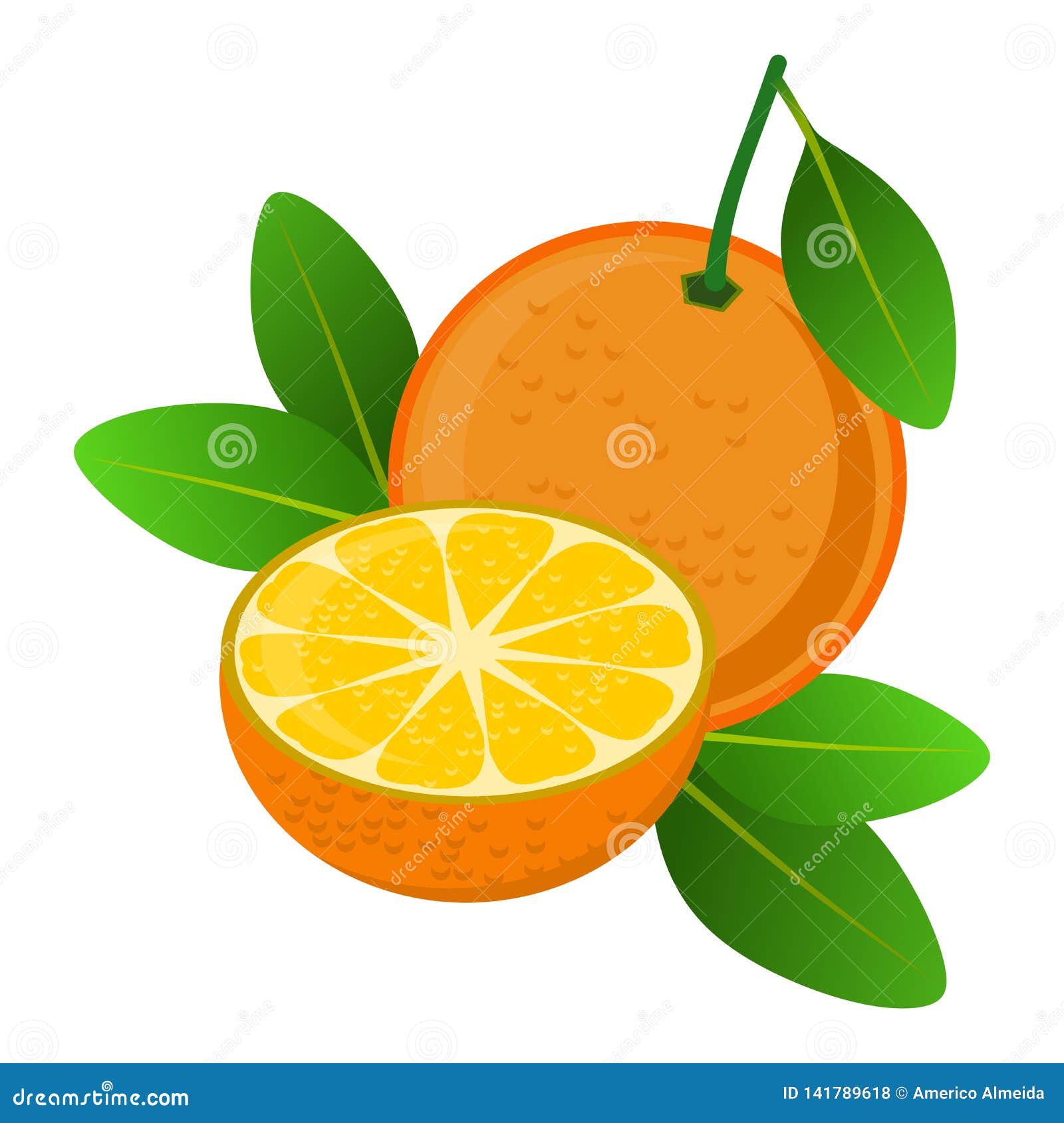 Frame with Stylized Orange and Its Leaves, Isolated on White Background ...