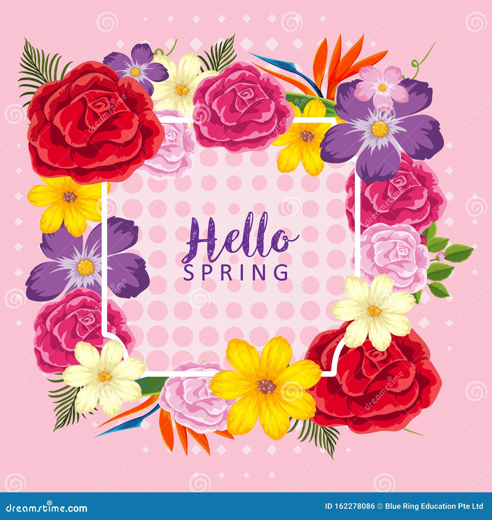 Frame Template with Colorful Flowers Stock Illustration - Illustration ...