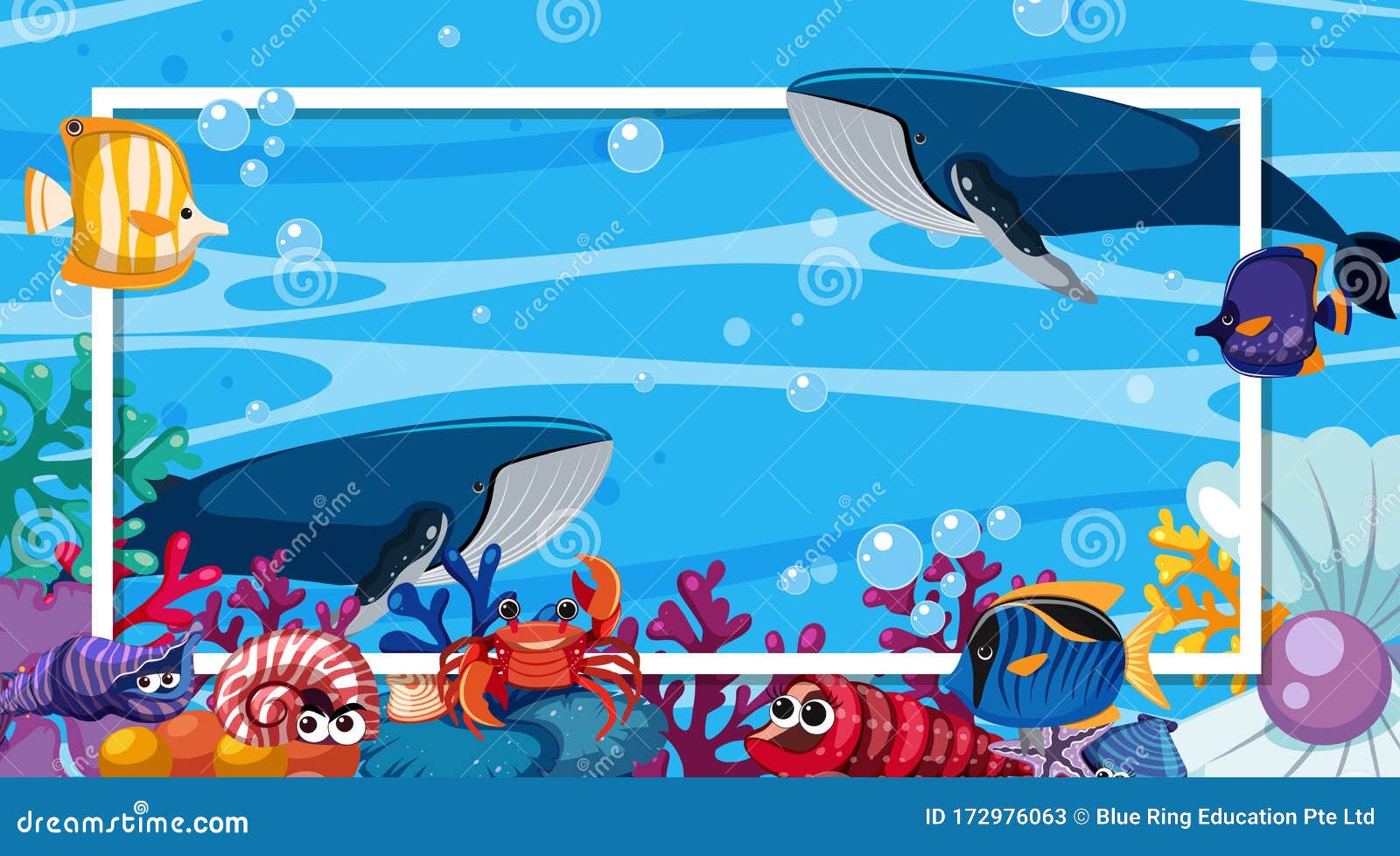 Frame Template Design with Sea Creatures Under the Ocean Stock Vector ...