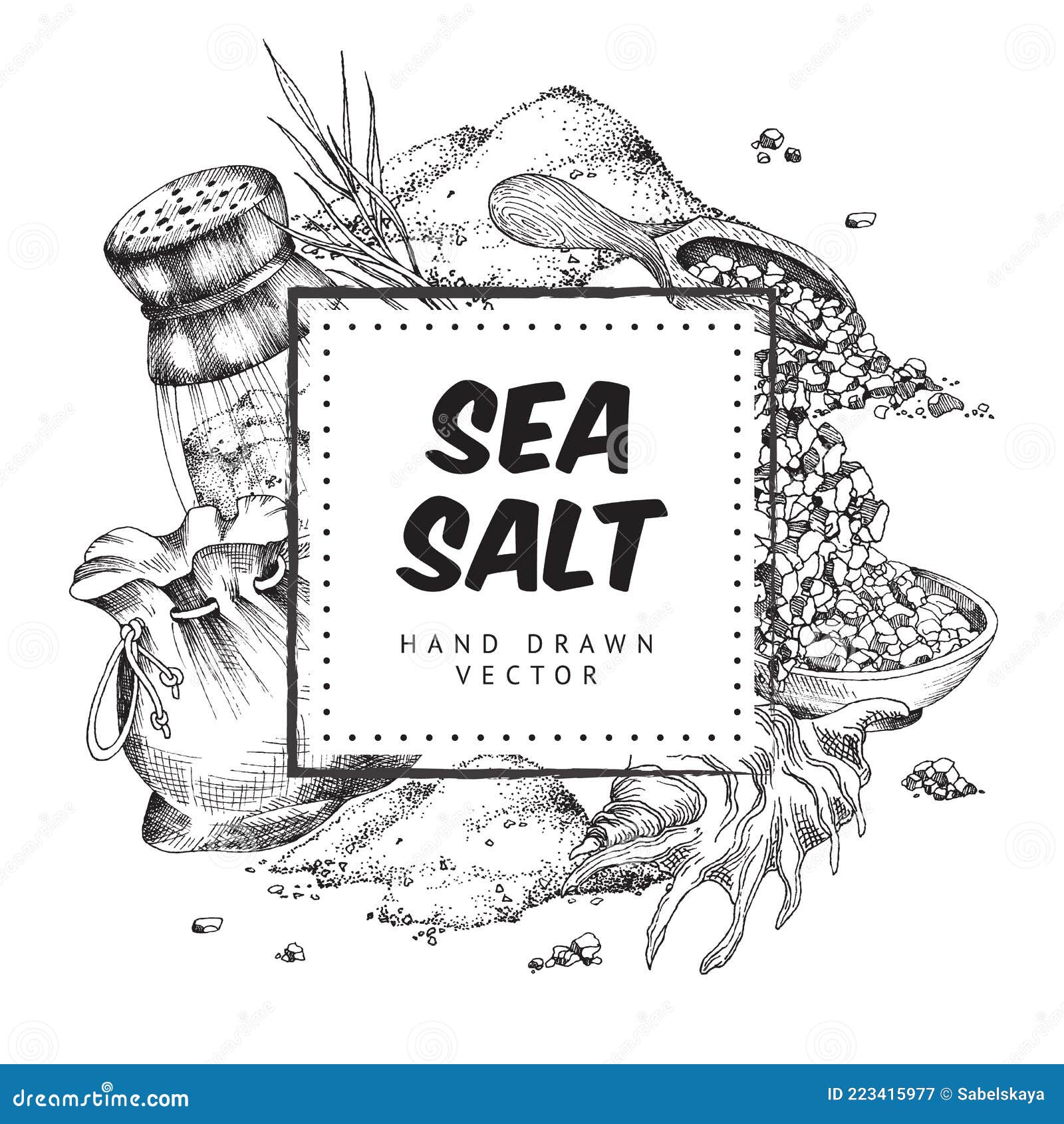 Frame for Text at Backdrop with Sea Salt Engraving Vector Illustration ...