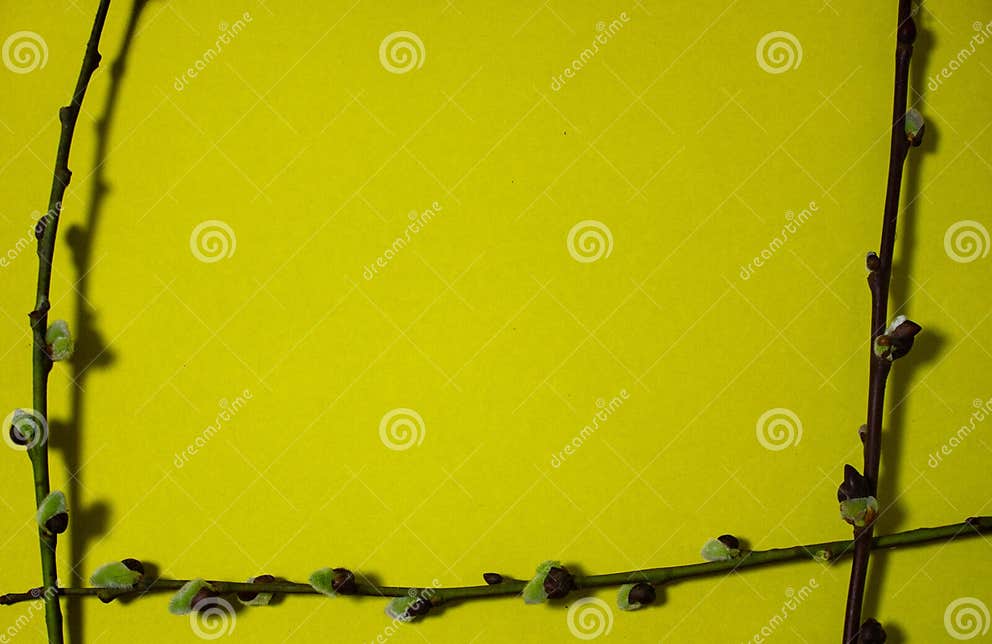 A Frame for Text from the Branches of the Verb Tree on a Yellow ...