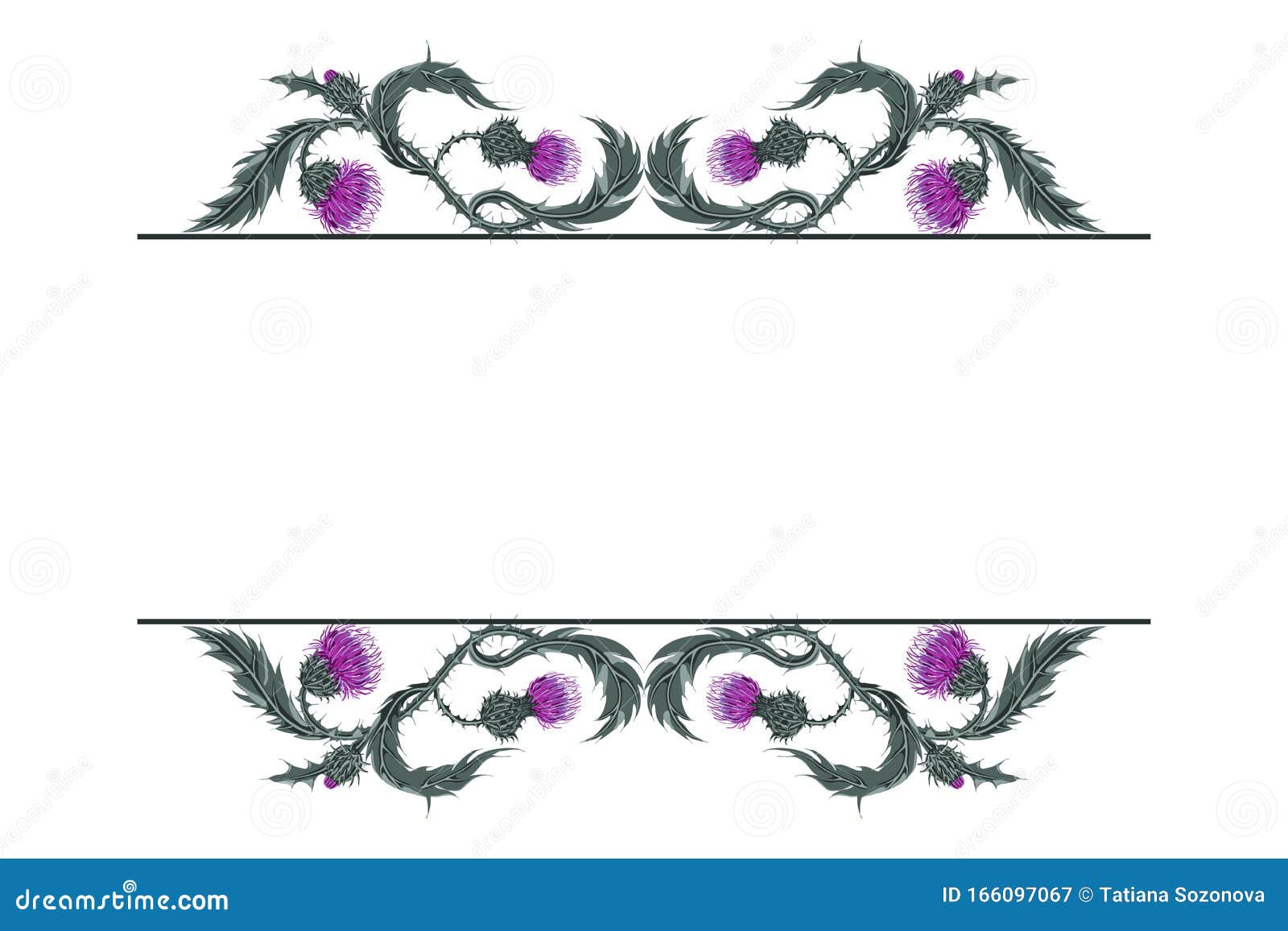 Frame for Text with Linear Horizontal Pattern of Scottish Flower ...