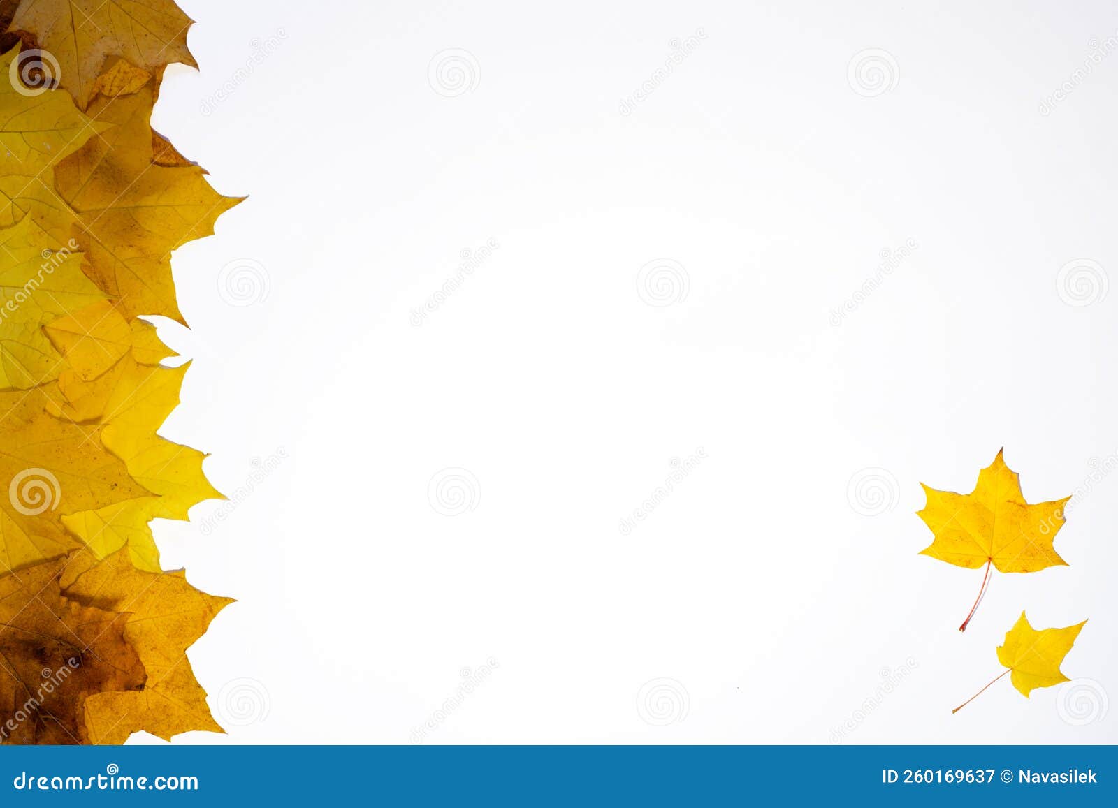 Frame for Text with Maple Leaves. Invitation Stock Image - Image of ...