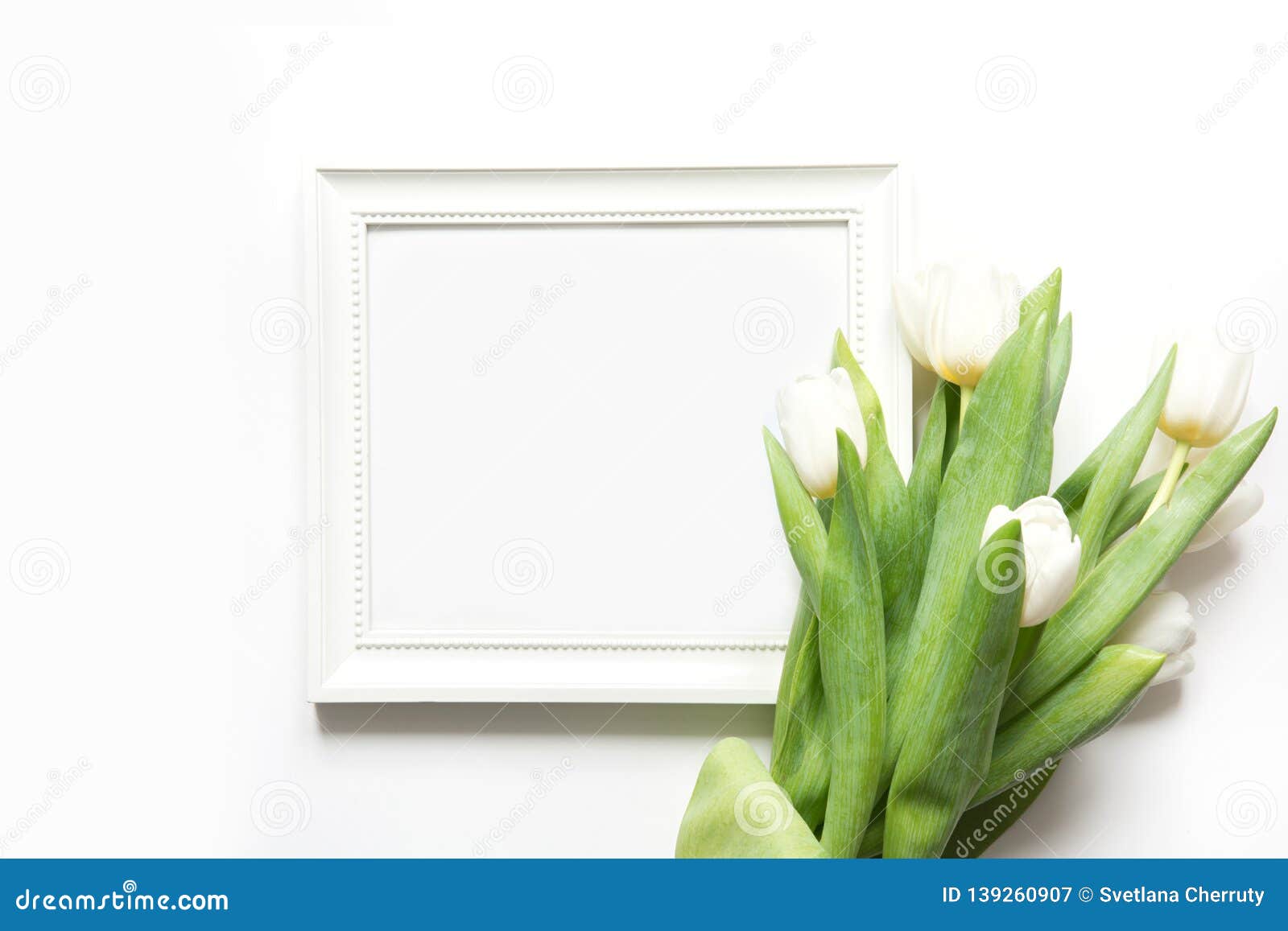 Frame for Text and White Tulip on White. Top View. Stock Image - Image ...