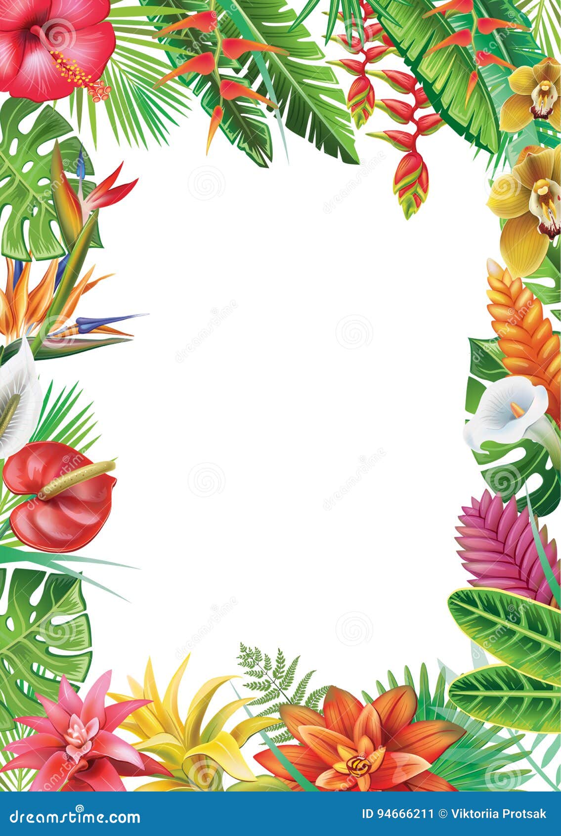 Frame From Tropical Plants Cartoon Vector | CartoonDealer.com #94666211