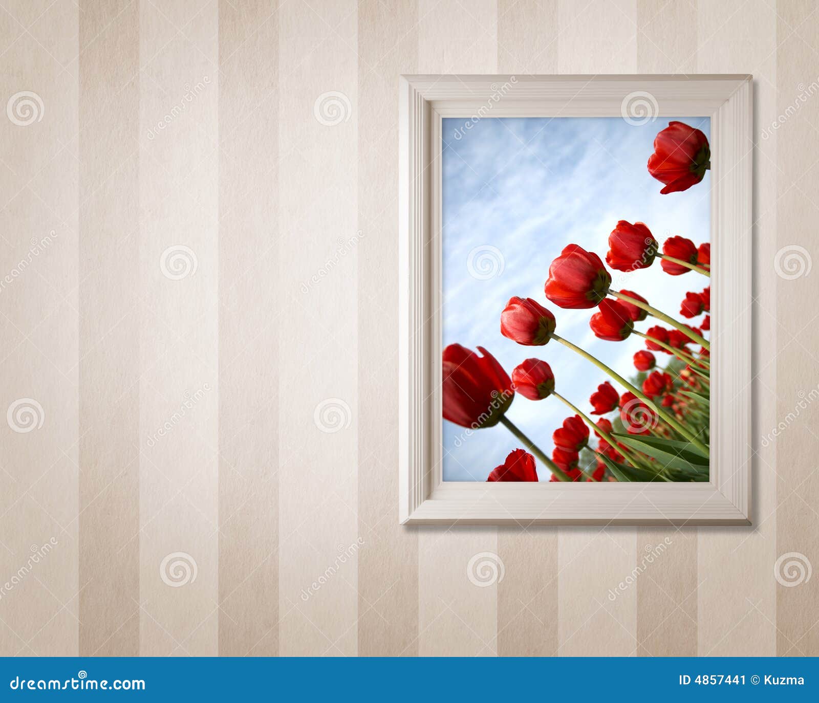 Frame with tulips stock image. Image of color, nature - 4857441