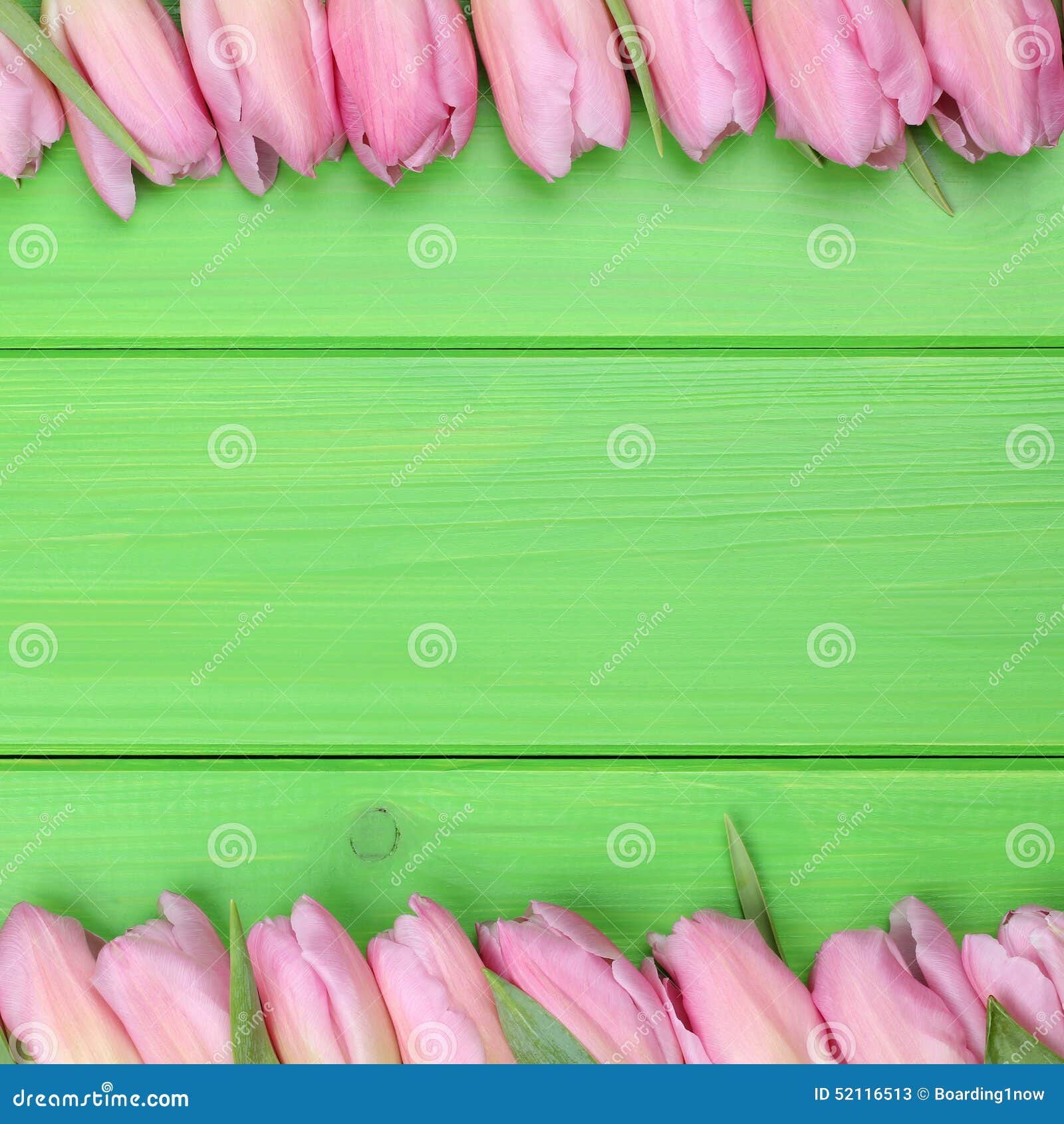 Frame from Tulips Flowers in Spring or Mothers Day Stock Image - Image ...