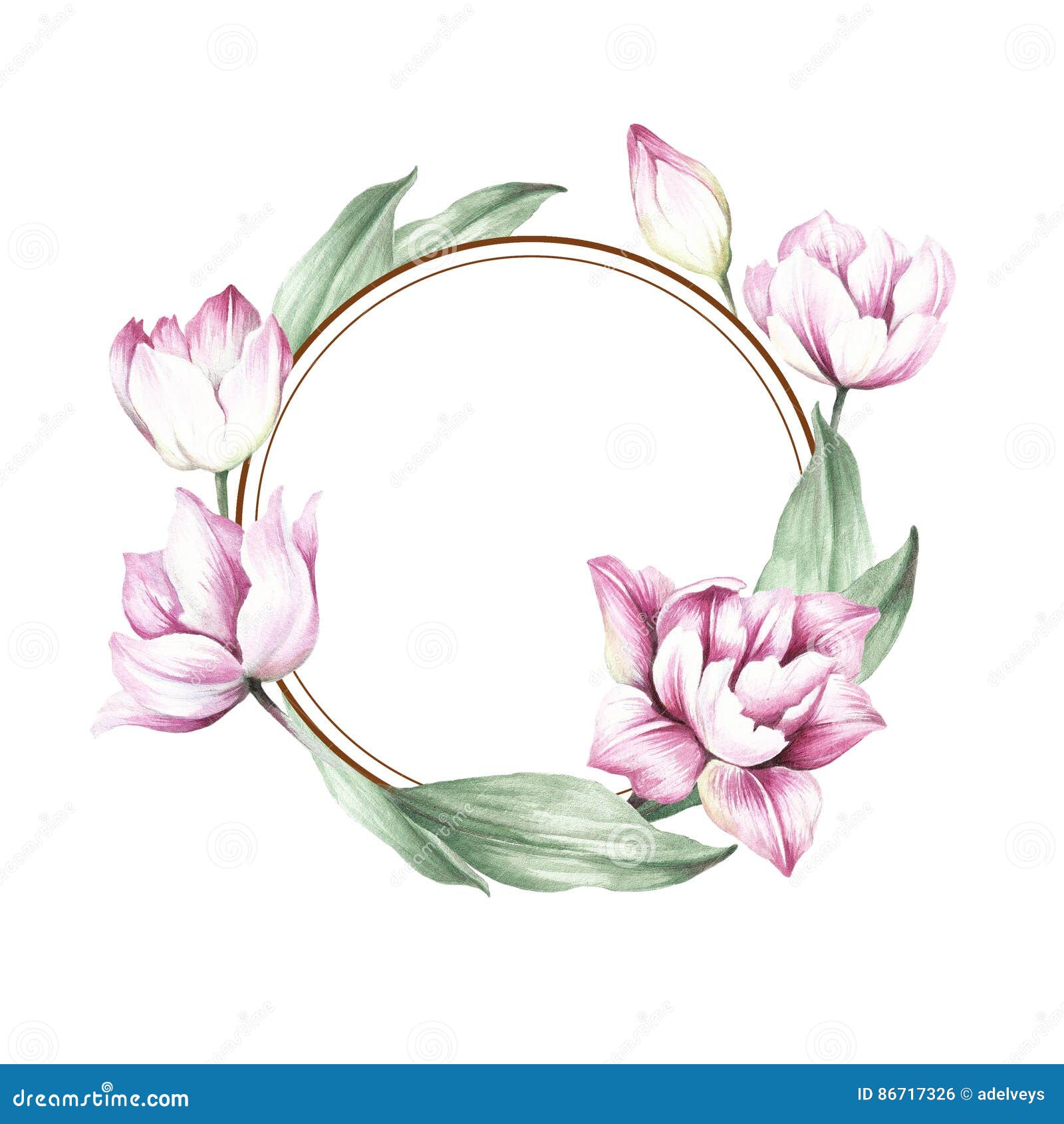 Frame with Tulips. Hand Draw Watercolor Illustration. Stock ...
