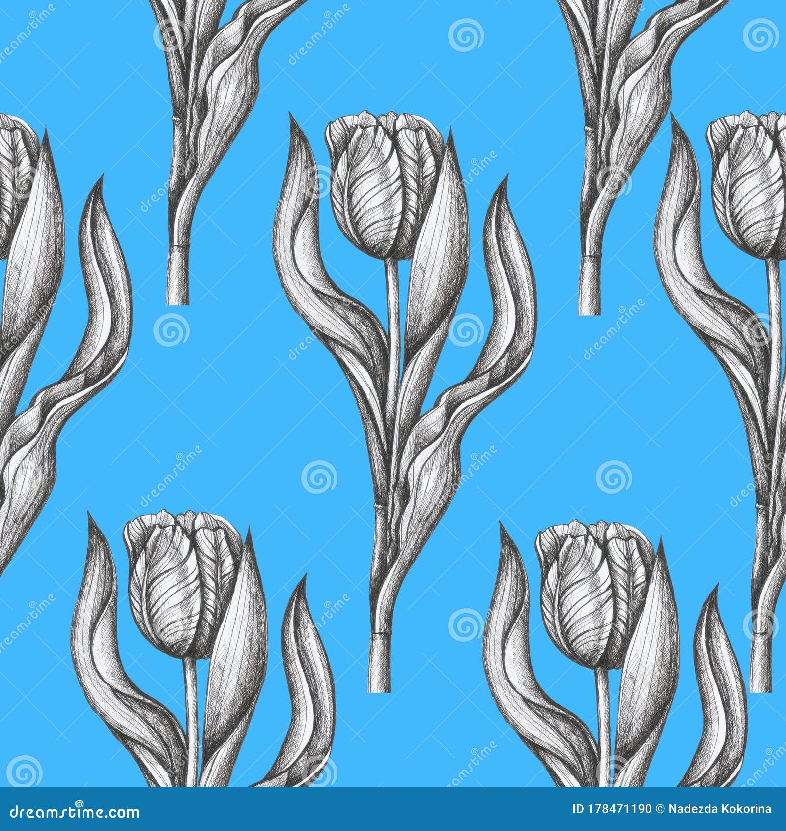 Frame Tulips Pattern Isolated Blue Background Stock Illustration ...