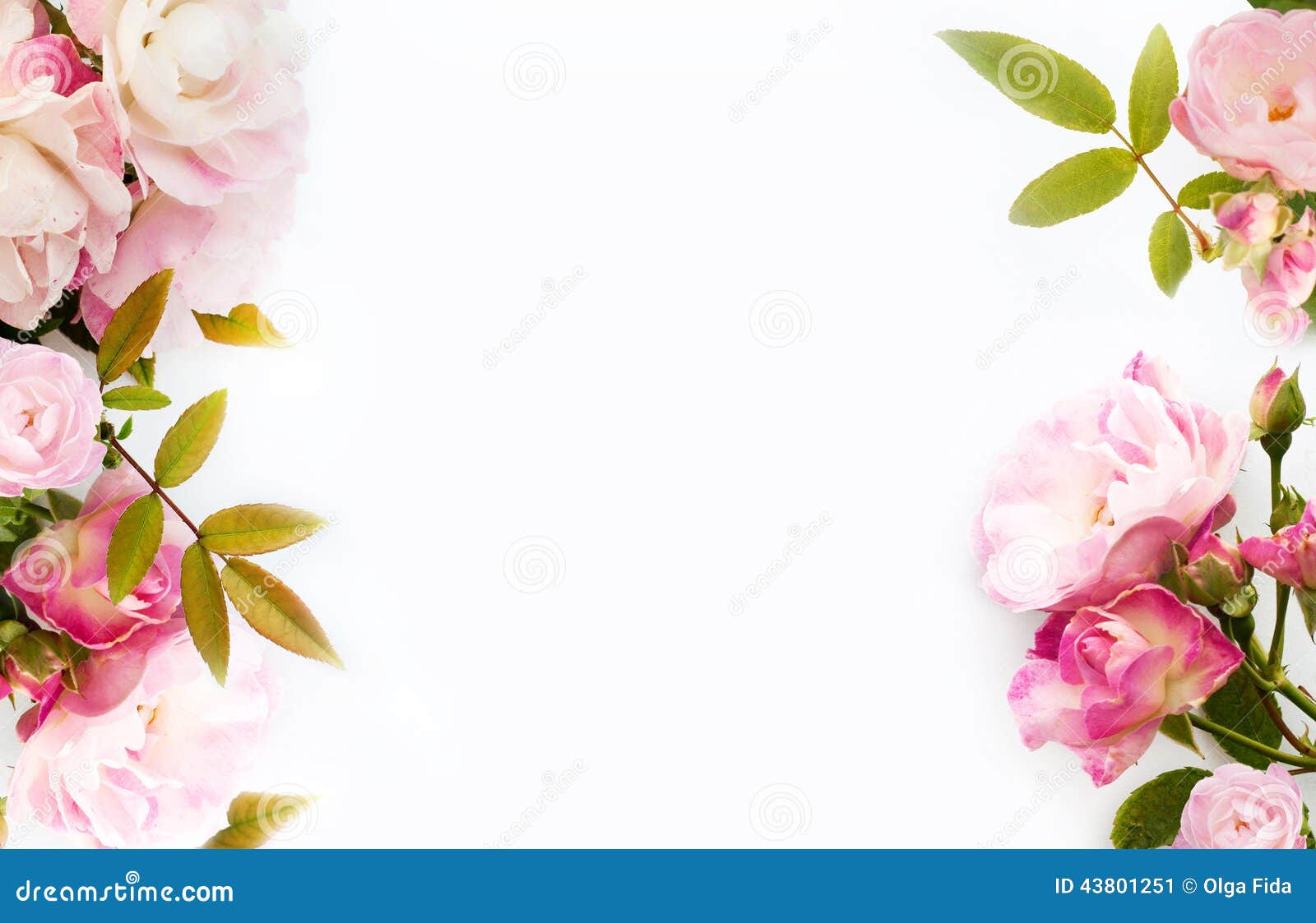 Frame van roze rozen stock afbeelding. Image of installaties - 43801251