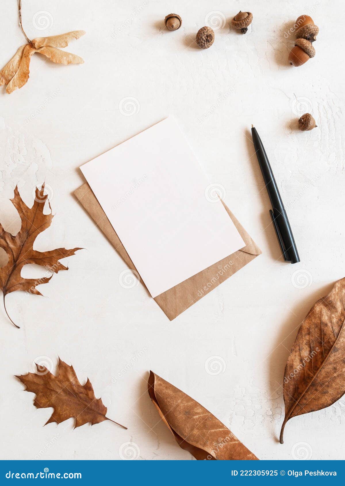 Frame from Various Fall Leafs and Acorns, Envelope and Postcard on ...