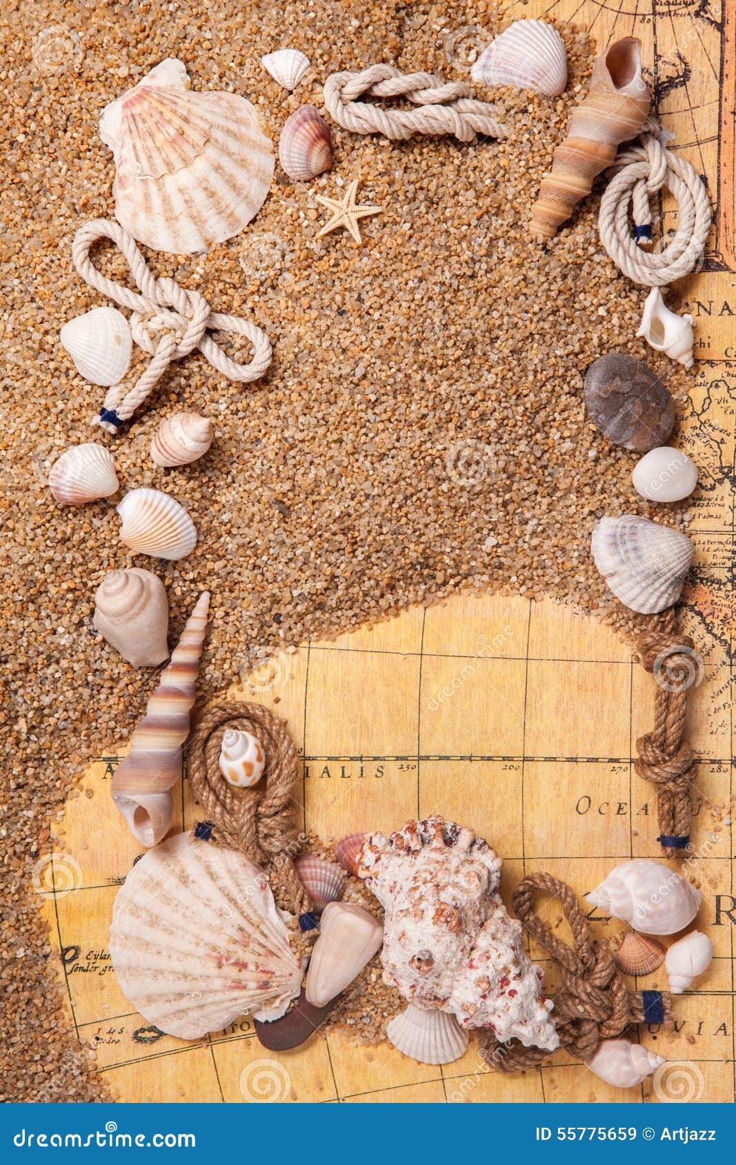 Frame from Various Shells on Sand and Old Map Stock Image - Image of ...